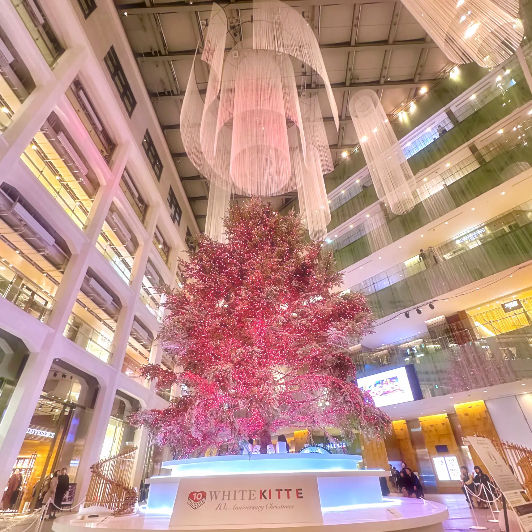 WHITE KITTE 今年は2023年11月22日(水)～12月25日(月)まで | ひまわり🌻が投稿したフォトブック | Lemon8