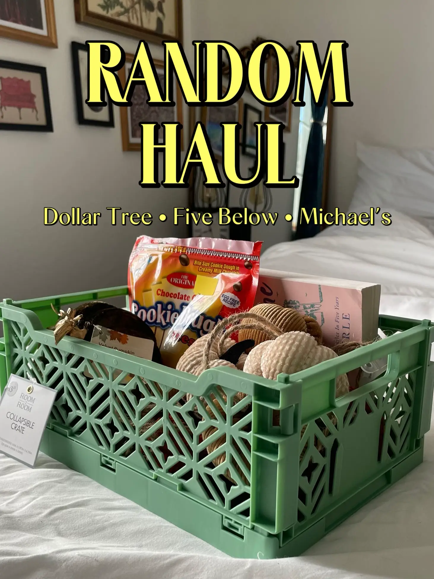 Random Haul | Dollar Tree, Five Below, Michael’s 🛍️ | Gallery posted by Kaitlin 📖 | Lemon8