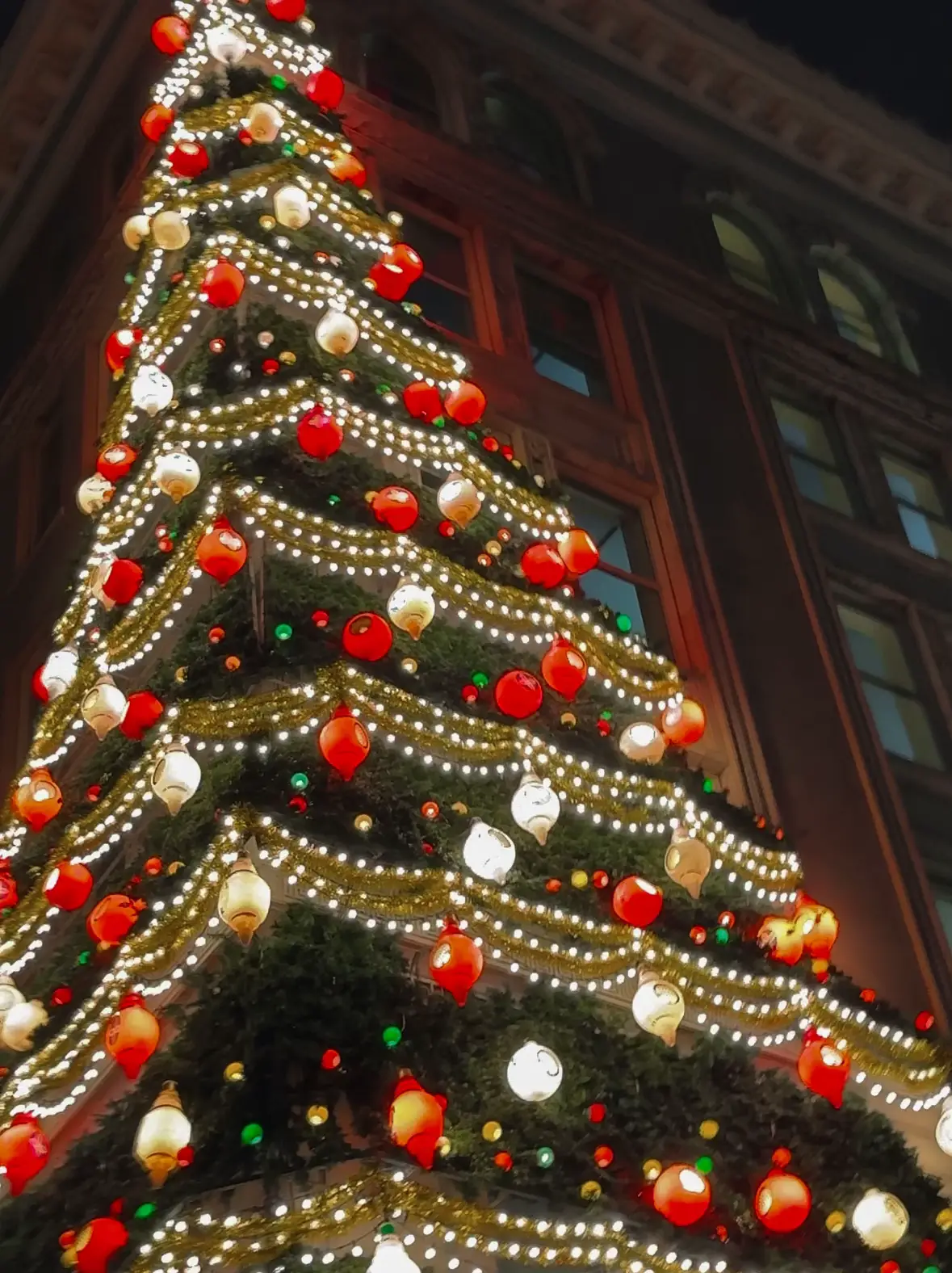 Photo Dump my year in pics | Gallery posted by Inside A Nurse | Lemon8