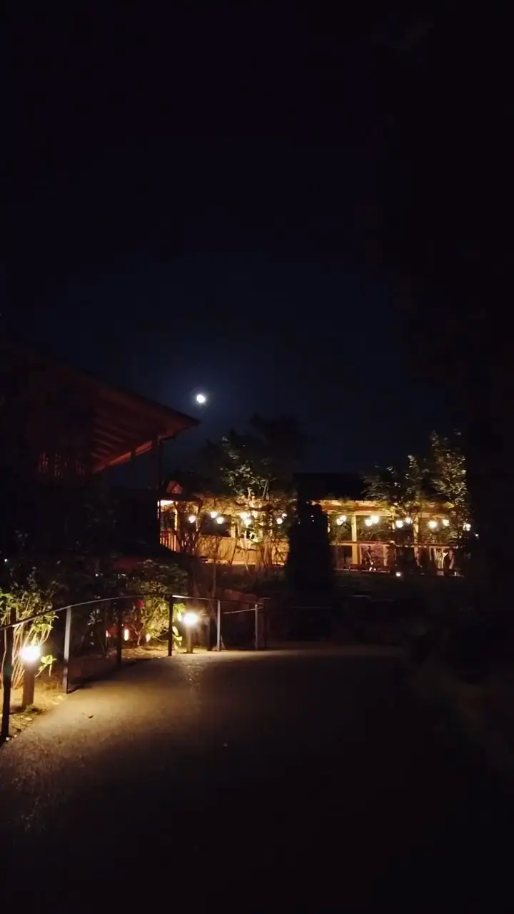 夜の神社は神秘的 | mitsu 【日本PR】の投稿動画 | Lemon8