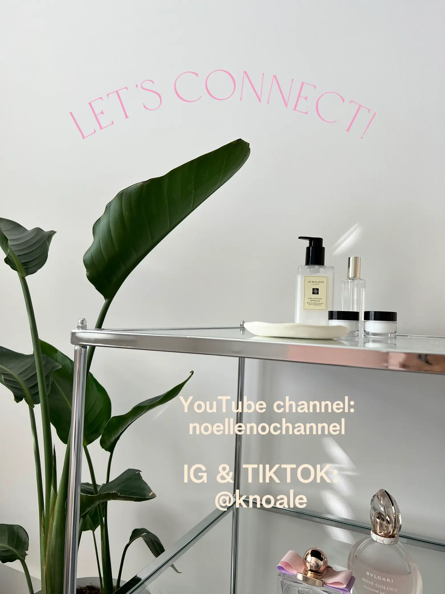 New on lemon8 | Gallery posted by nosey | Lemon8