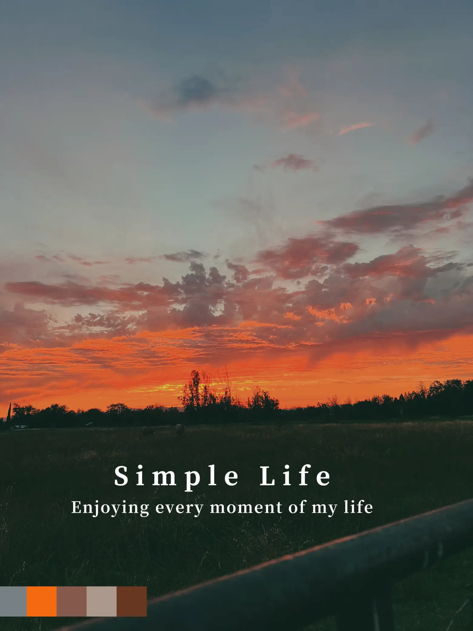 Breath taking moment… | Gallery posted by casey | Lemon8