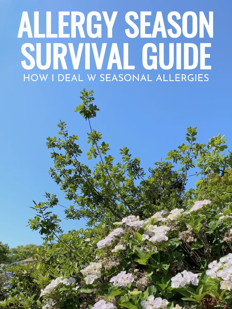 How to Prepare for Seasonal Allergies During Spring | 2024 real user ...