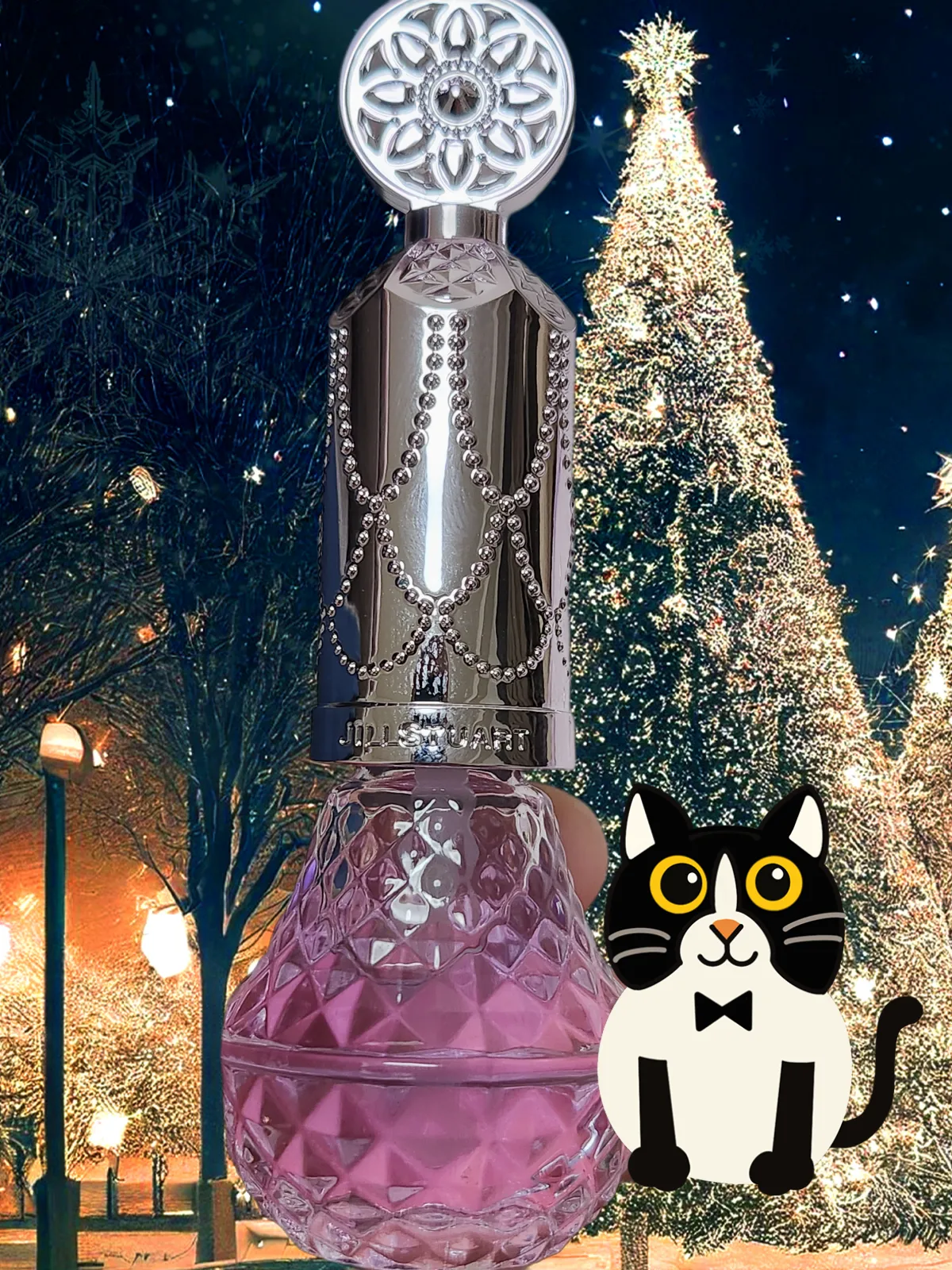 JILLSTUART | 神城 碧依*オススメ紹介*が投稿したフォトブック | Lemon8