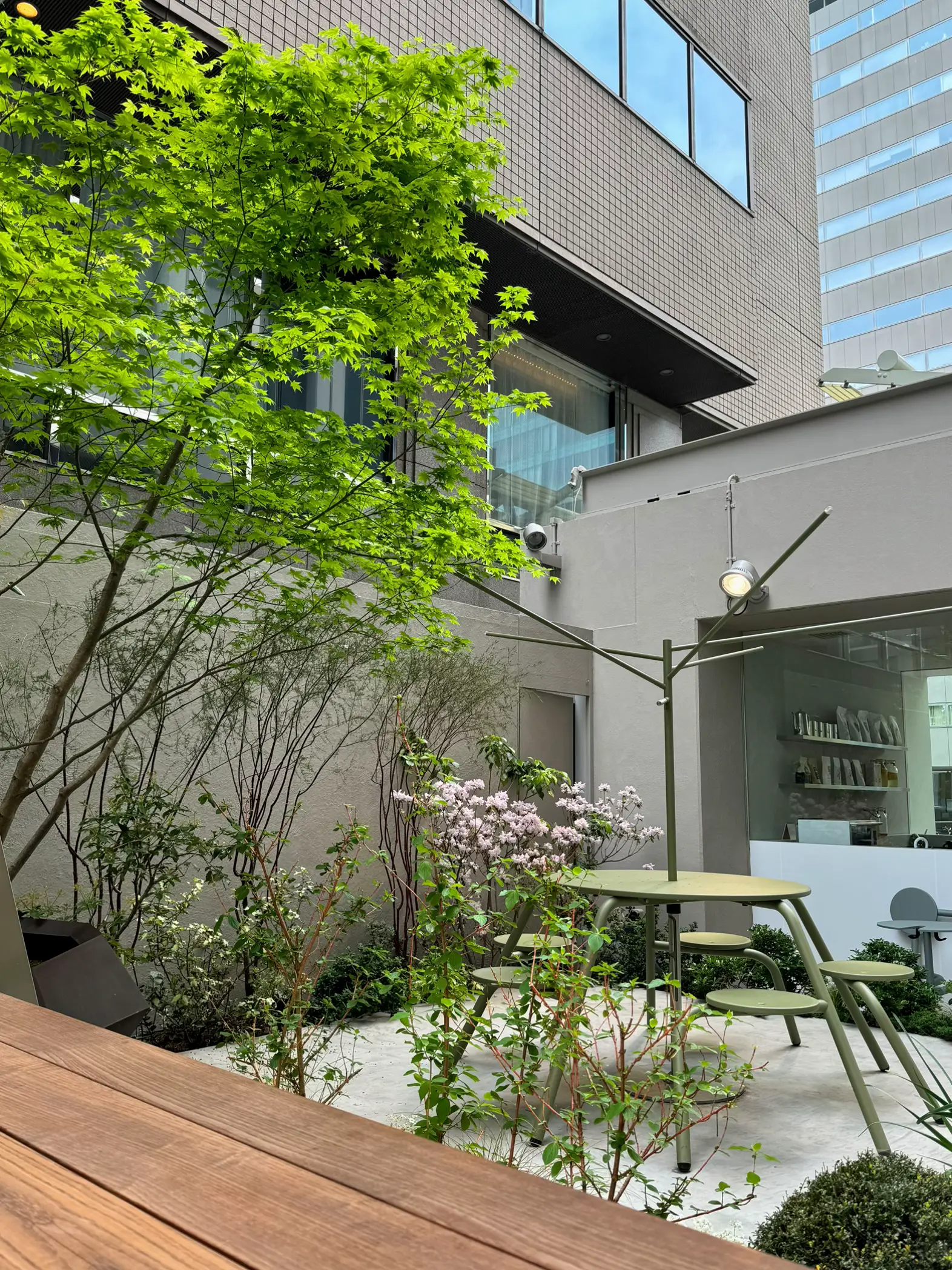 [ด้านหน้าของสวนด้านนอก] SOL'S COFFEE GAIEN | แกลเลอรีที่โพสต์โดย Noona_cafe | Lemon8