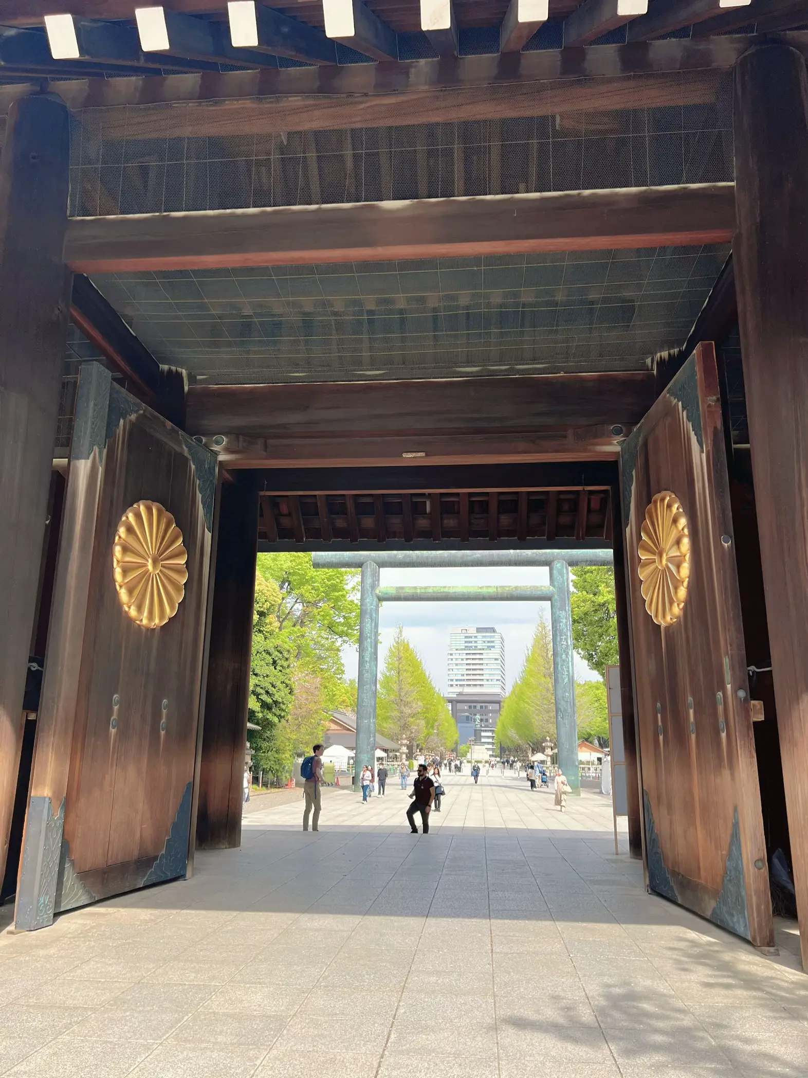 ทัวร์โตเกียวโกชูอิน *. งานปักดอกซากุระตอนนี้เท่านั้น!! | แกลเลอรีที่โพสต์โดย chim🫧‪コスパ旅 | Lemon8