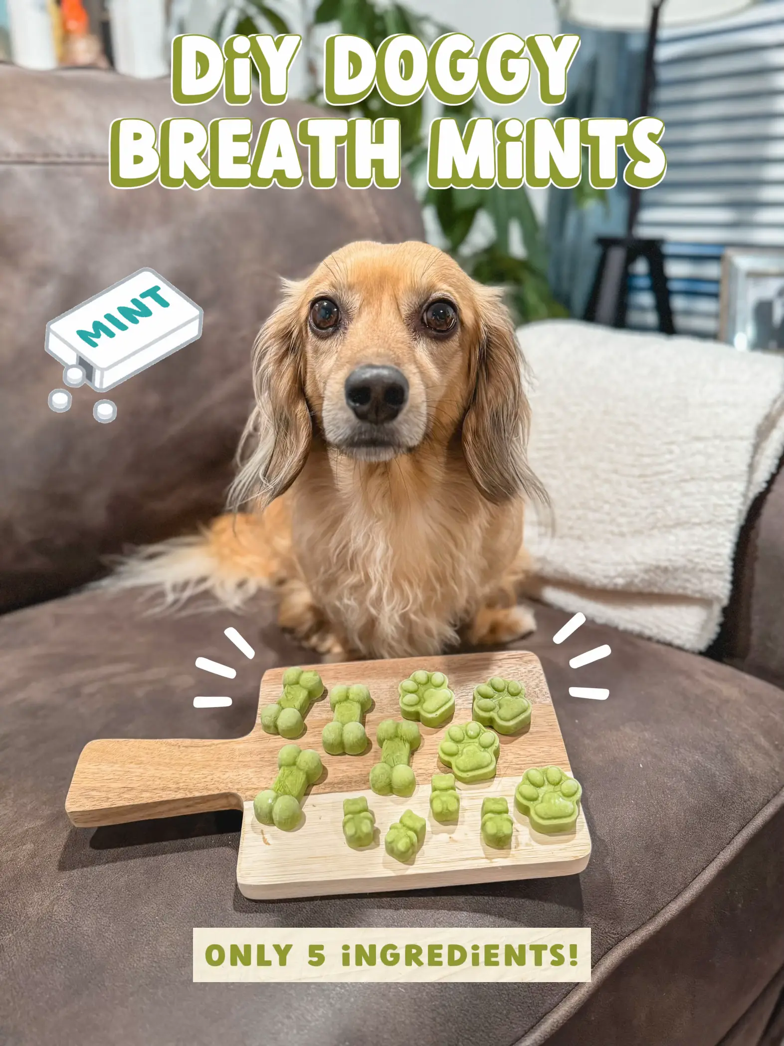 How to Make Dog Treats for Their Breath | 2024 real user experience on ...