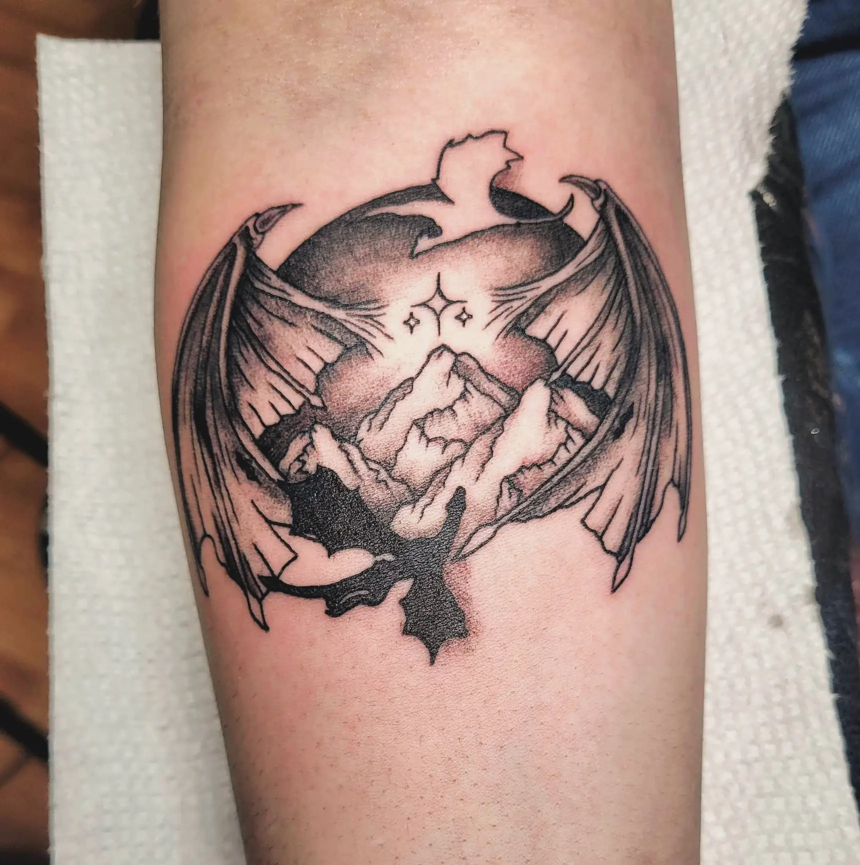 fourth wing fan art - Lemon8 Search