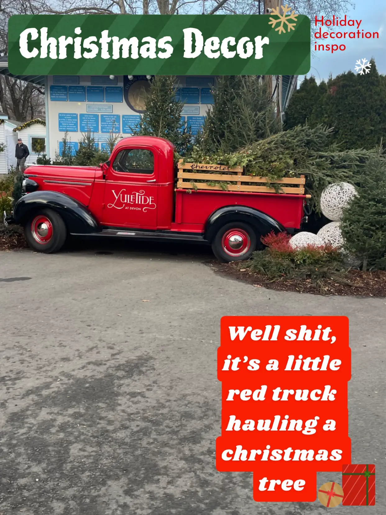 MY CHRISTMAS TREES 🎄 | Gallery posted by CC 🍒🐿️🩵🧁♒️🧸 | Lemon8