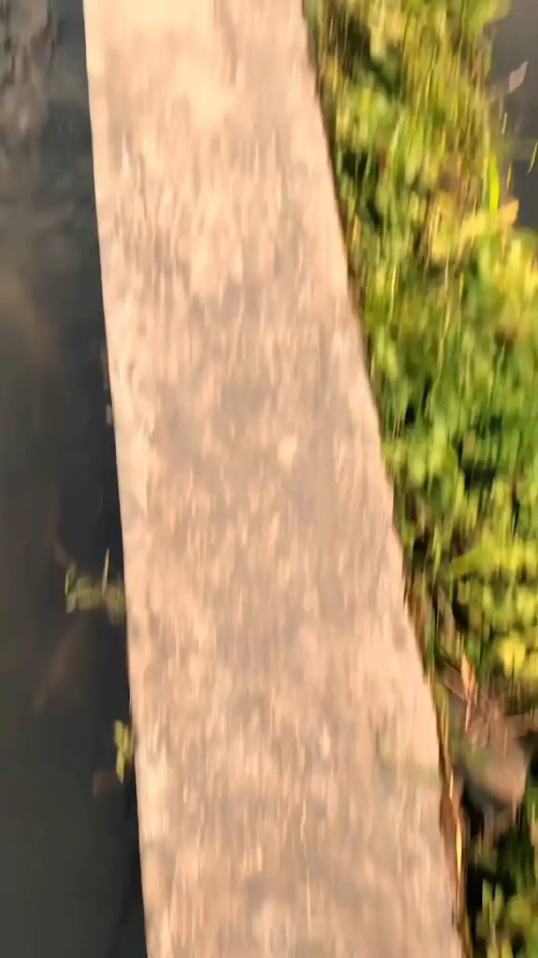 What do you dream? | Video published by The Rike Nature | Lemon8