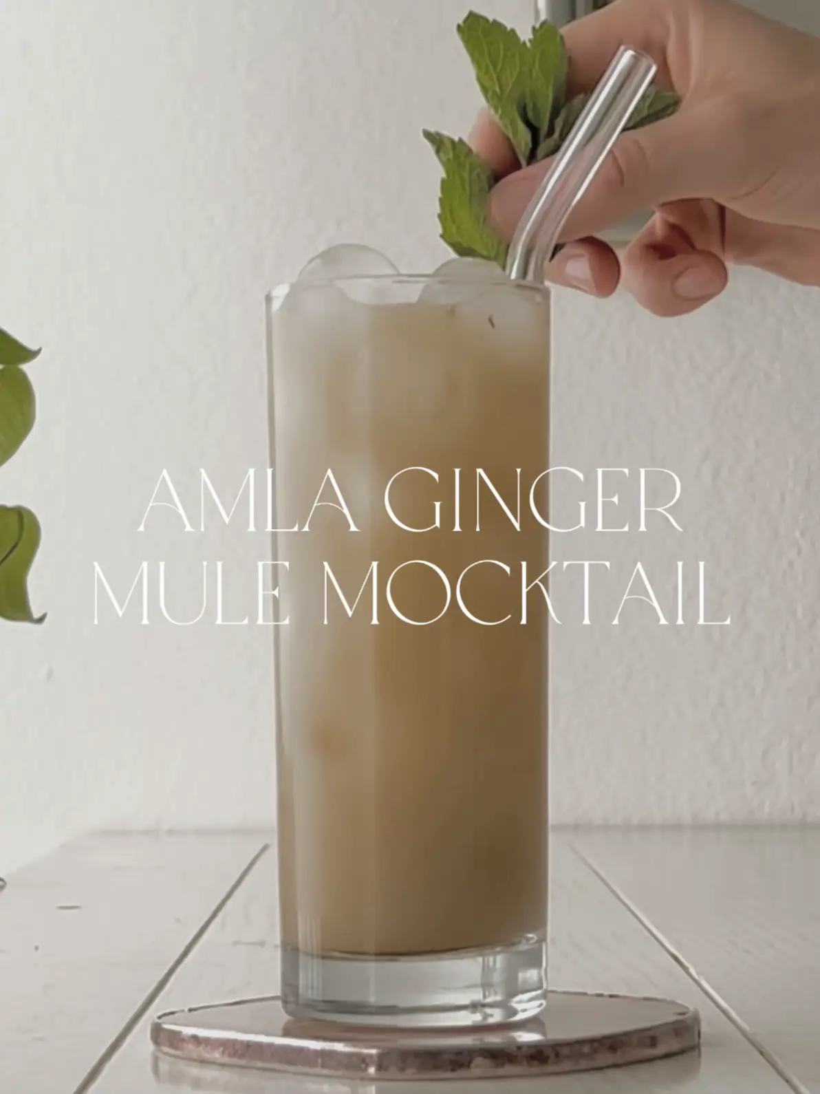 amla ginger mule mocktail | วิดีโอที่เผยแพร่โดย katie lopynski | Lemon8