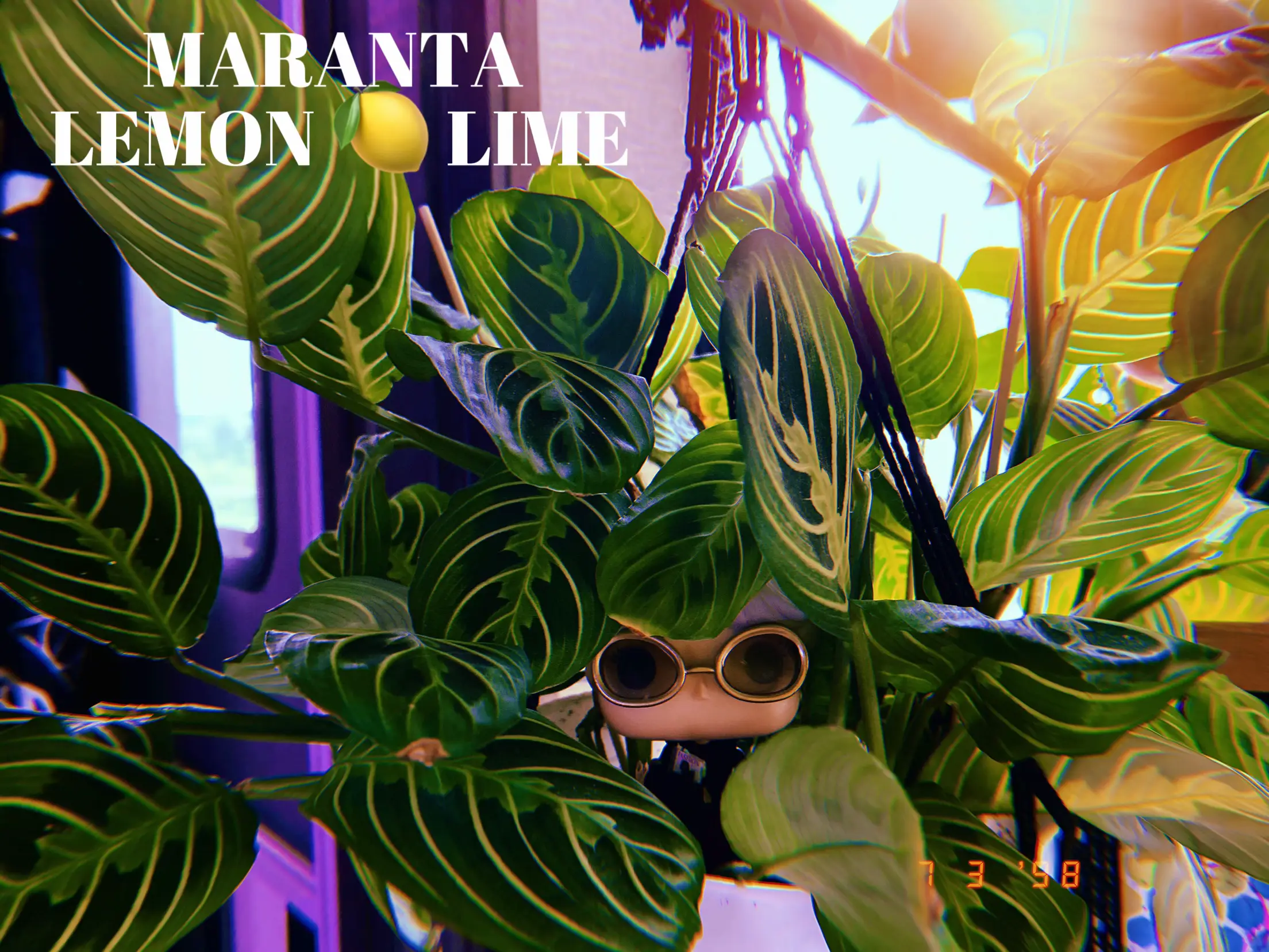 🍋 | Gallery posted by (heat)∙𝘩𝘦𝘳 | Lemon8