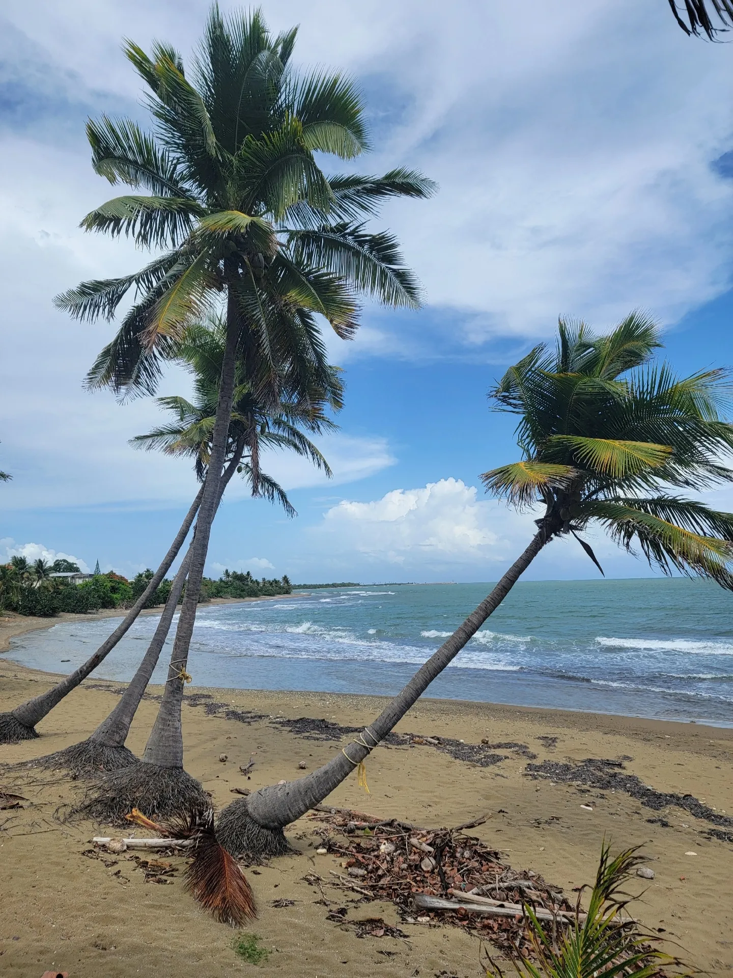 Puerto Rico 🫶 | Gallery posted by Chiktais | Lemon8