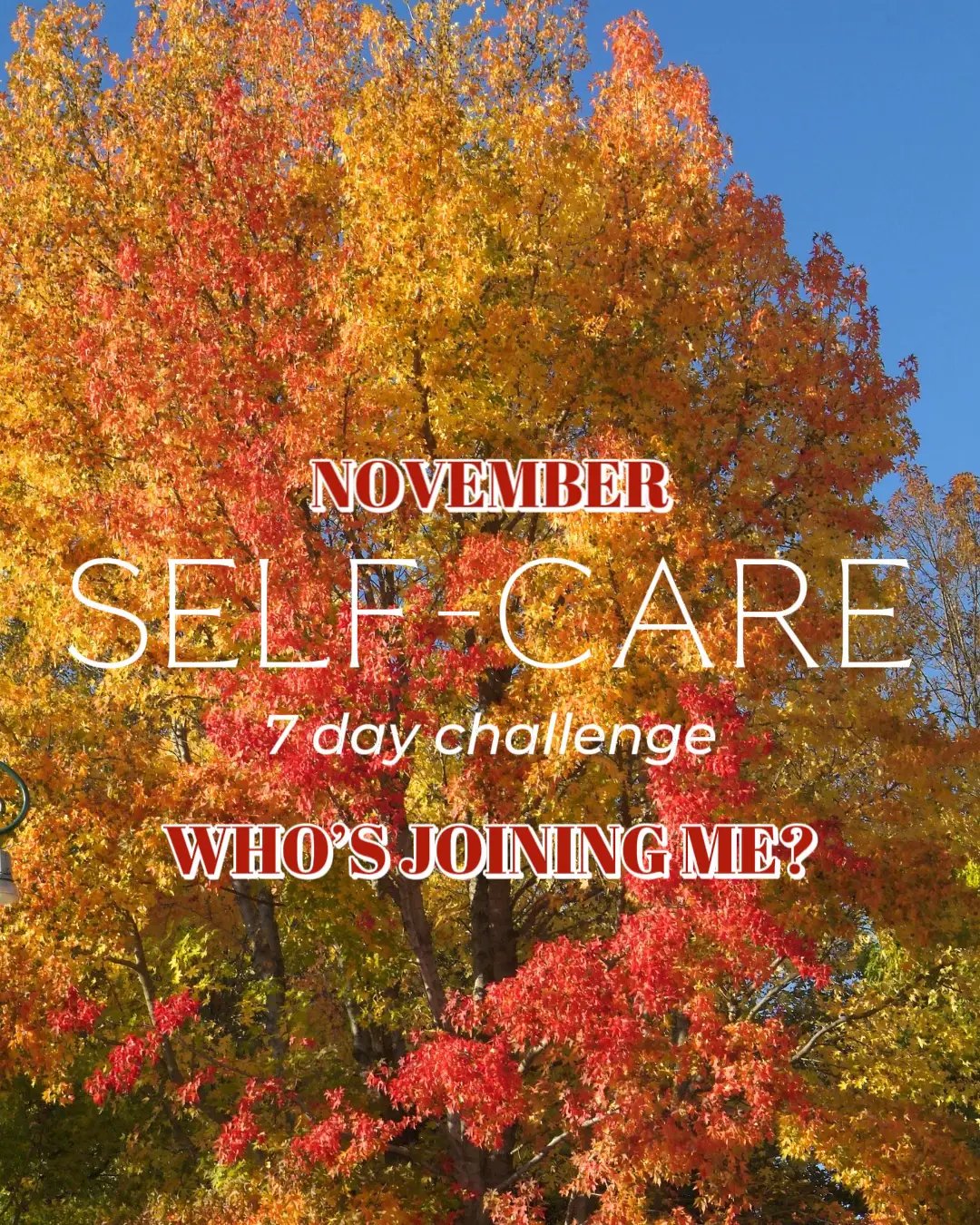 November SELF-CARE challenge | แกลเลอรีที่โพสต์โดย Jess Salemme | Lemon8