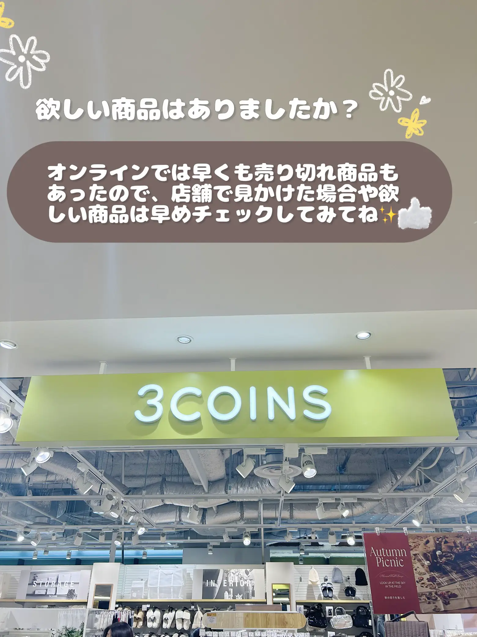 3COINSパトロール🍂早くも売り切れ⁈ | kiki__husが投稿したフォトブック | Lemon8