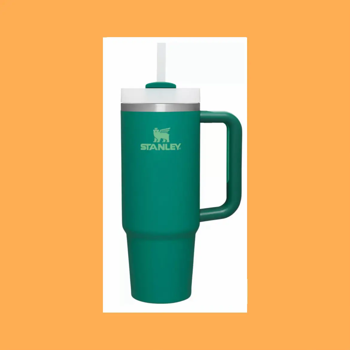 WHICH COLOR STANLEY SHOULD I GET? | Gallery posted by digital diary ...