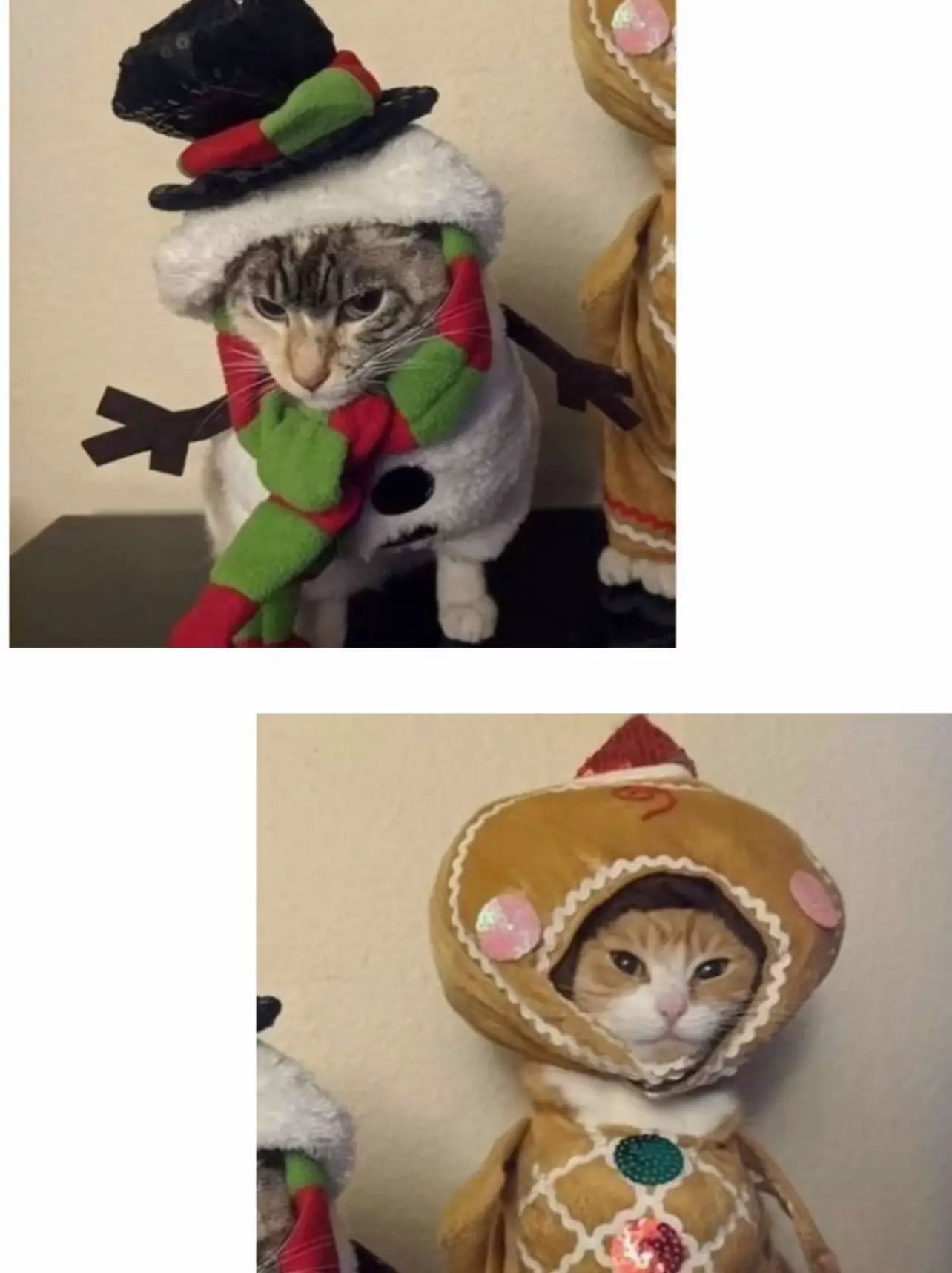 matching christmas pfp