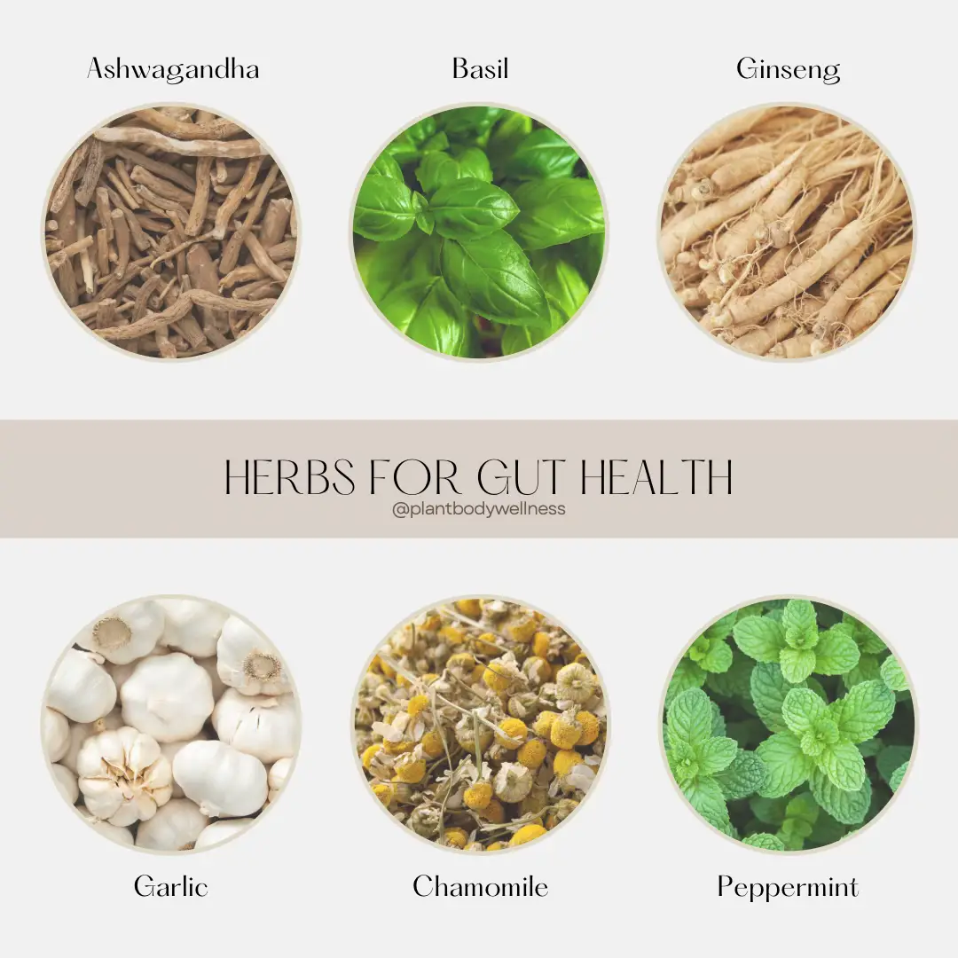 Having gut issues these 5 herbs + 1 root may help | Gallery posted by ...