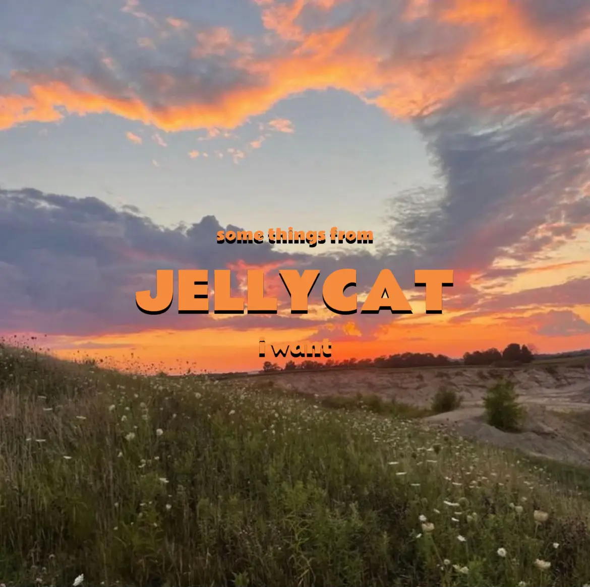 THINGS FROM JELLYCAT I WANT | Gallery posted by digital diary | Lemon8