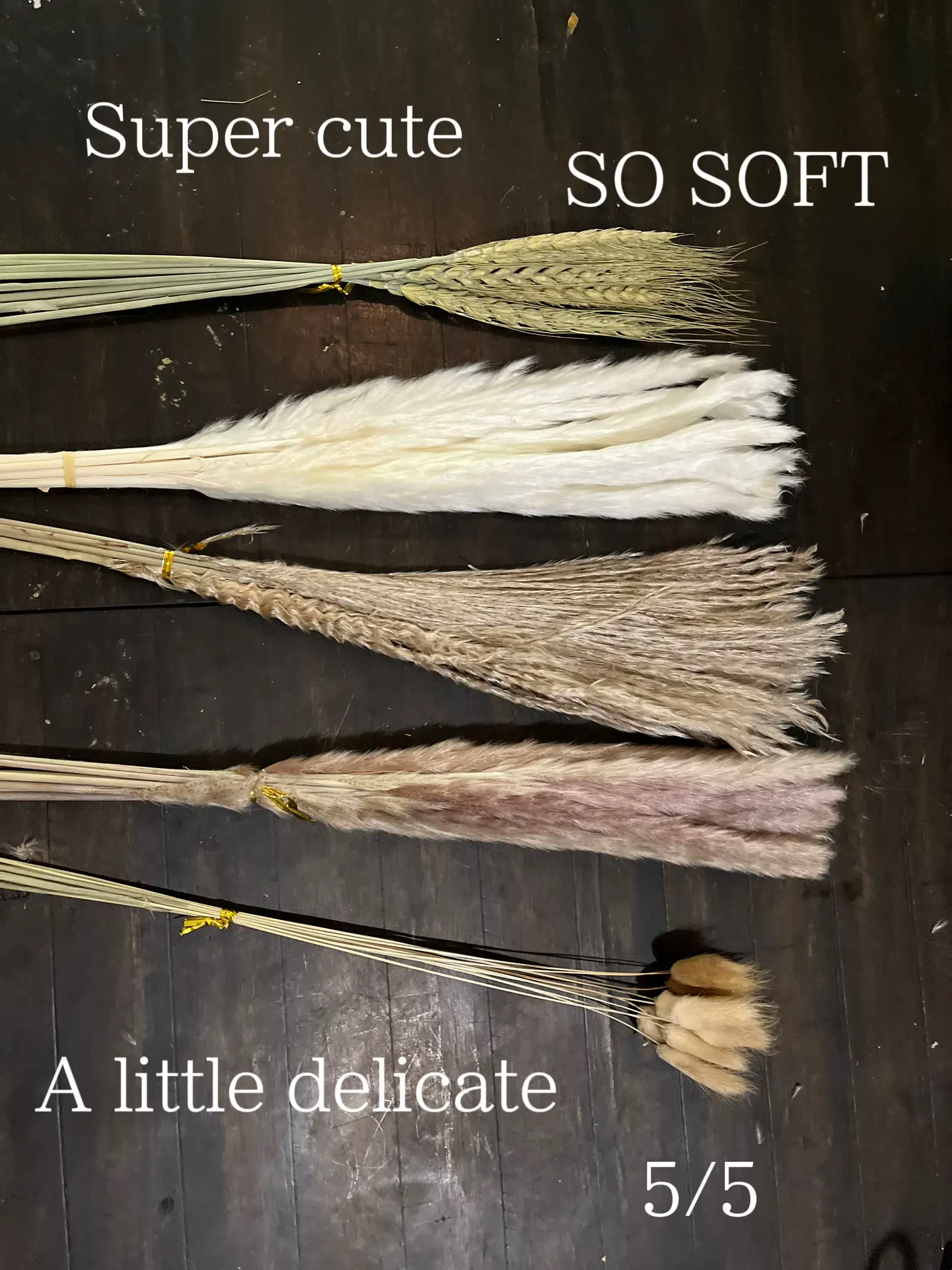 My order is finally here! | Gallery posted by Ry | Lemon8