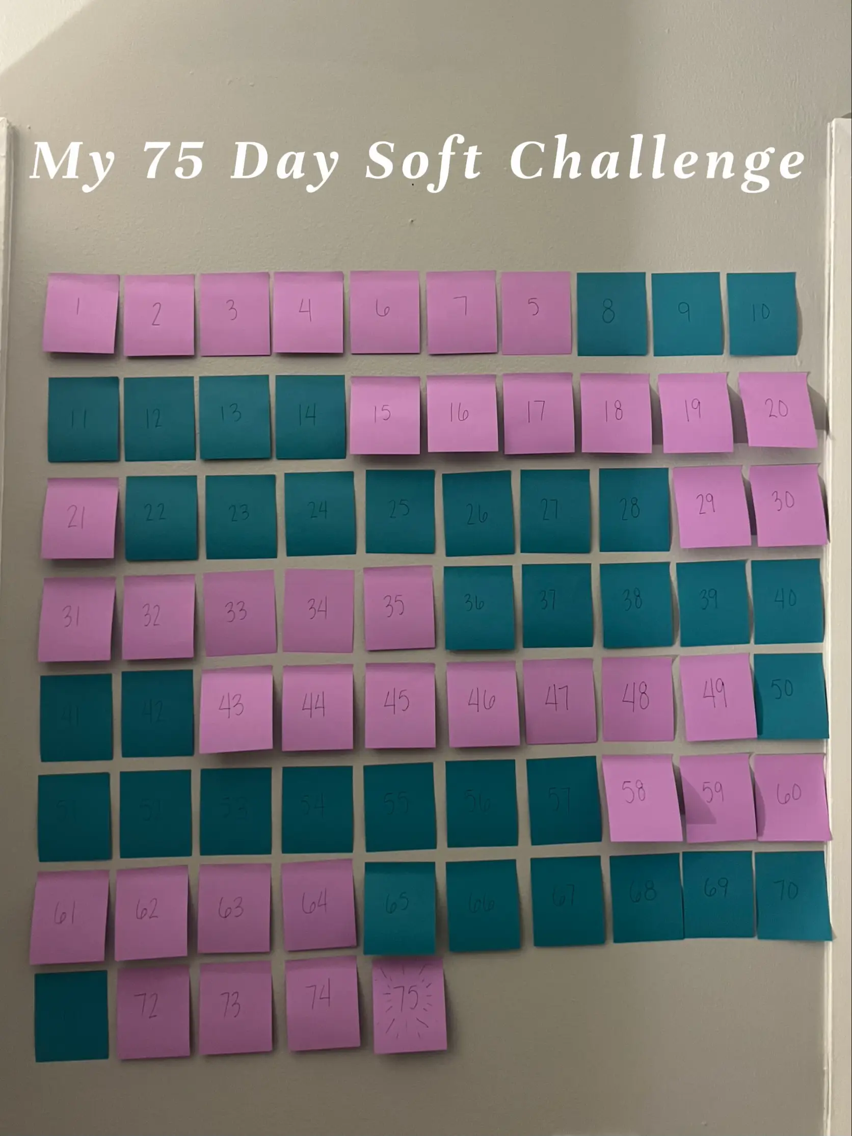 My 75 Day Soft Challenge | Gallery posted by Annah | Lemon8