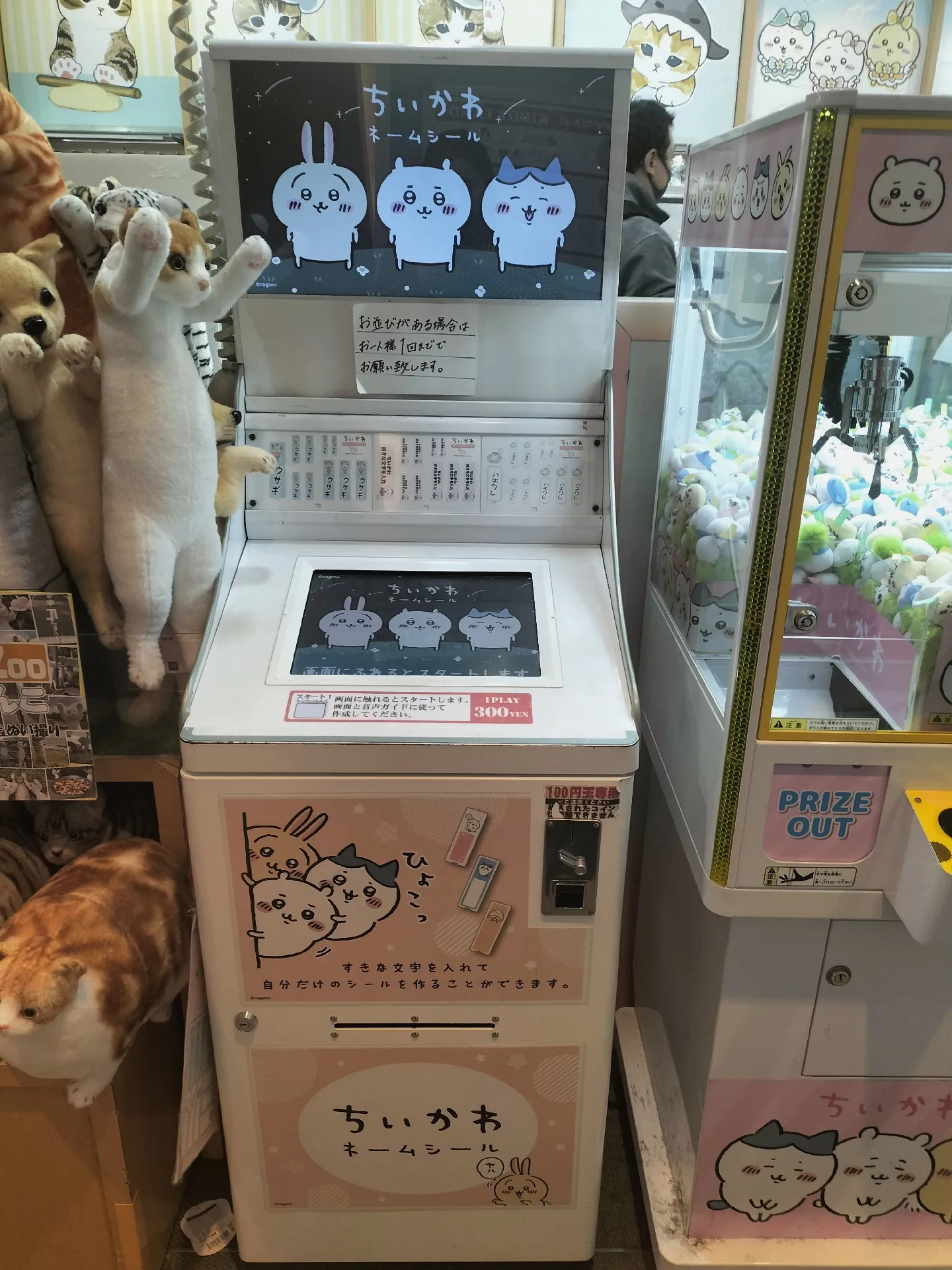 Chiikawa Land Harajuku | Gallery posted by displayquon | Lemon8