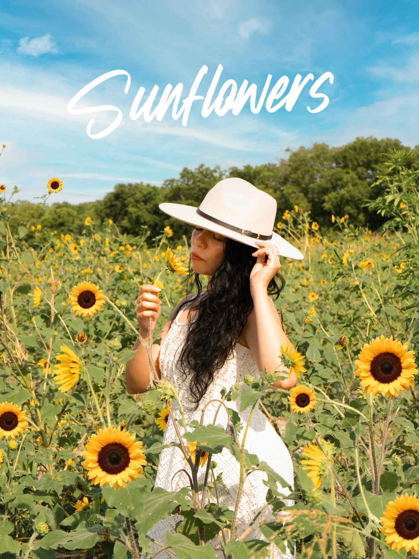 Sunflowers pic 🌻🤩 | Gallery posted by Mar Villegas | Lemon8