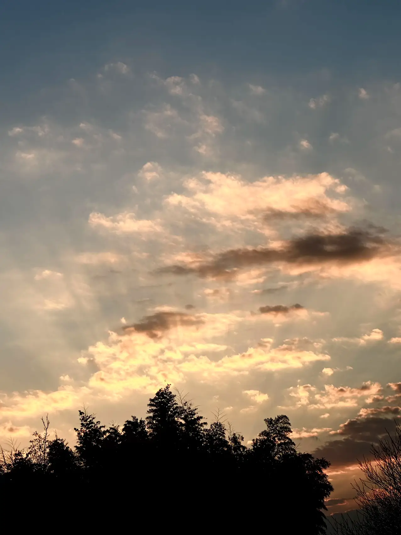Today's angel's ladder is from the sunset | Gallery posted by ナナ | Lemon8