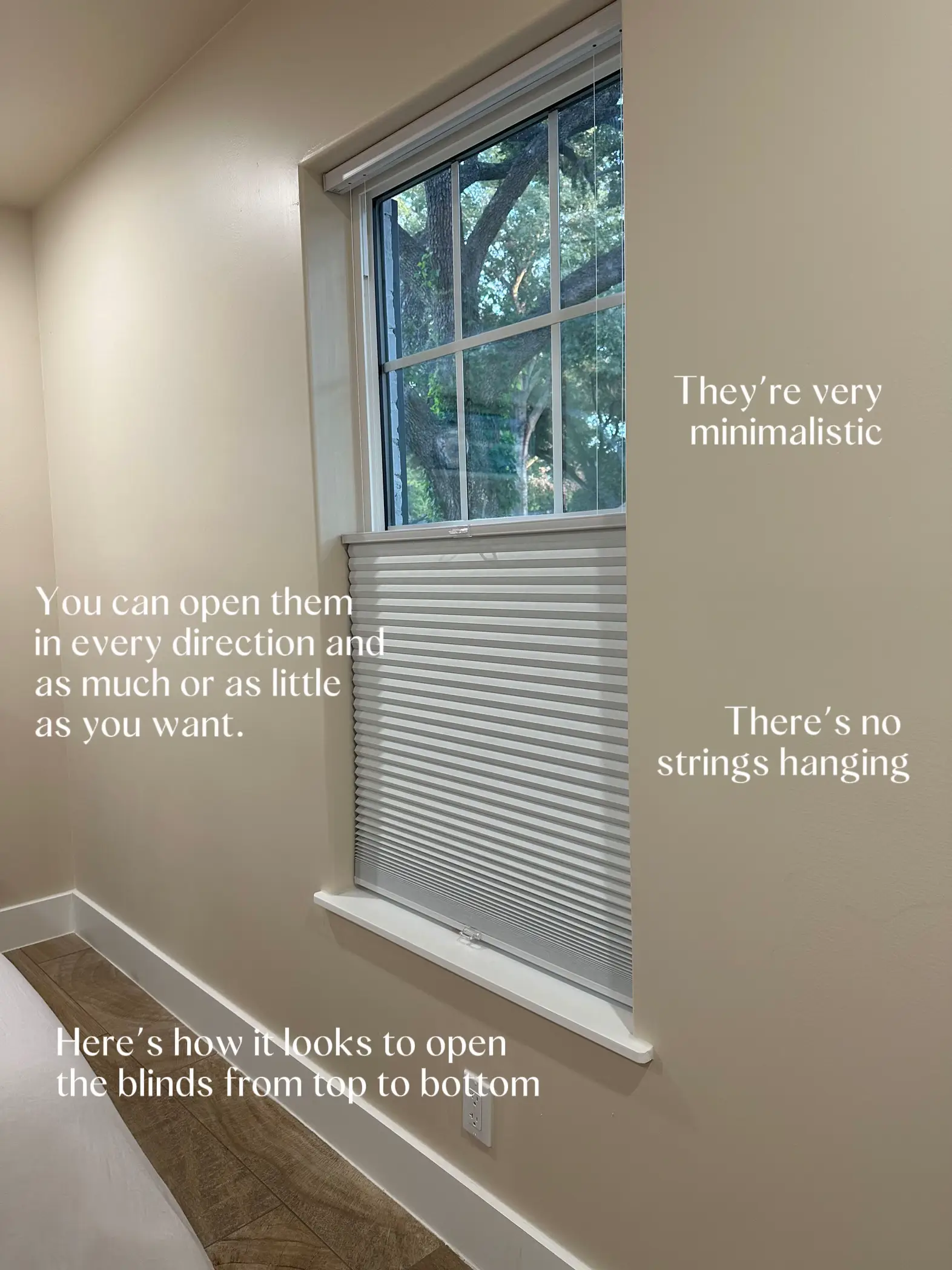 selectblinds - Lemon8 Search