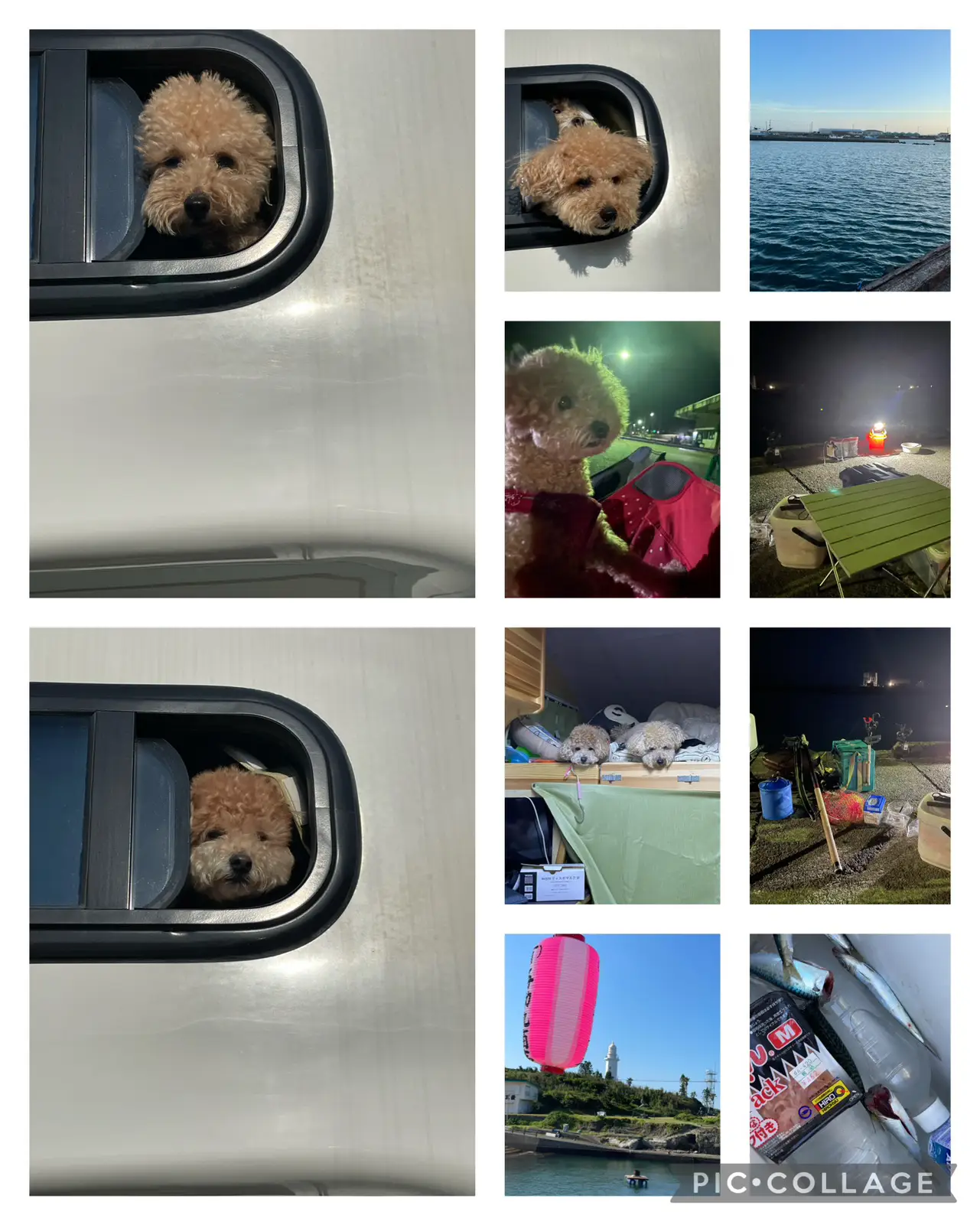 三連休 | แกลเลอรีที่โพสต์โดย toto | Lemon8