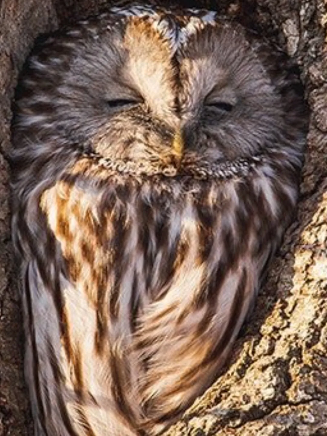 mori630がコンテンツを投稿しました。確認しましょう！ | mONkunが投稿したフォトブック | Lemon8