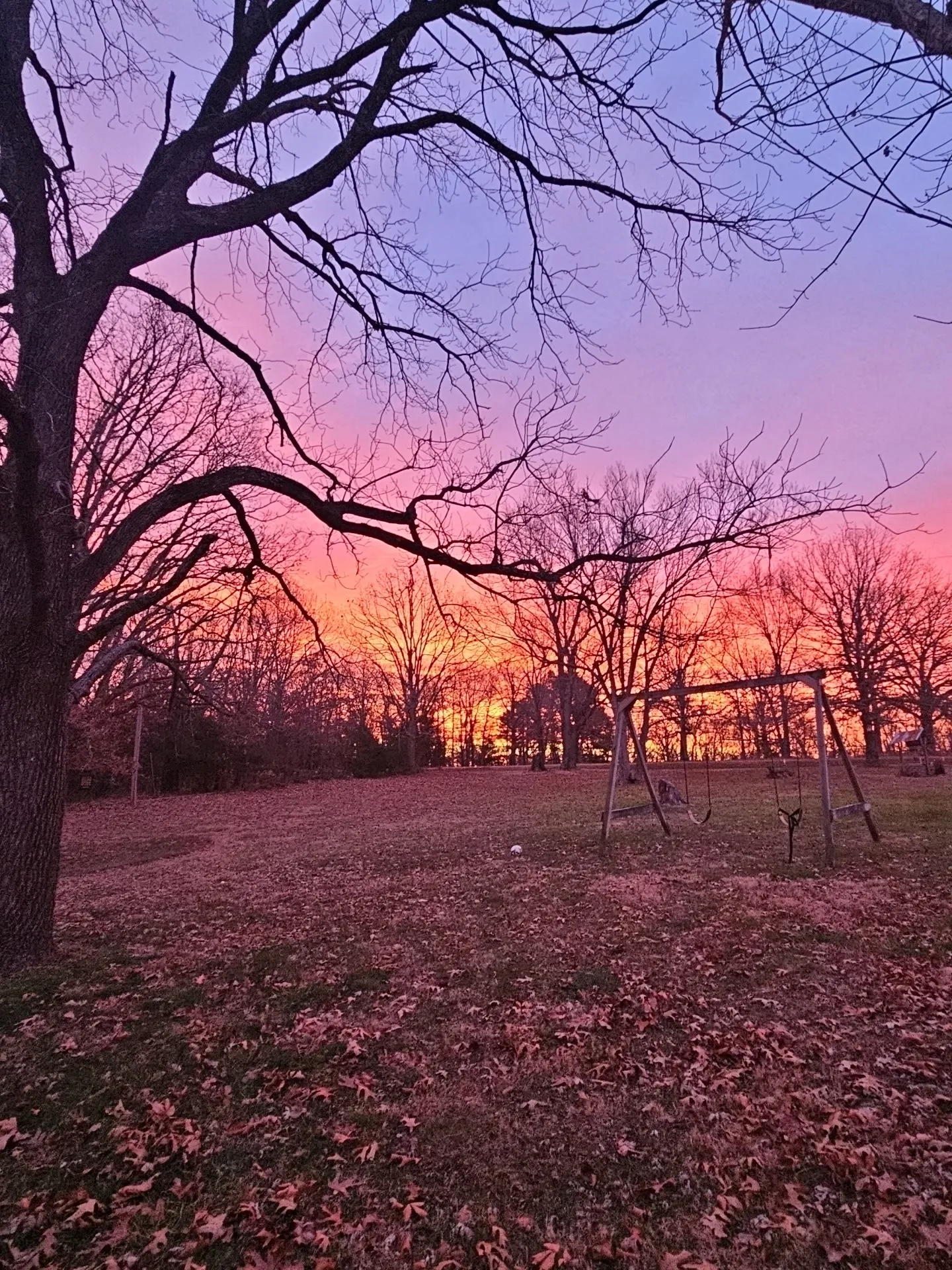 Sunrise | Gallery posted by The Farm Witch | Lemon8