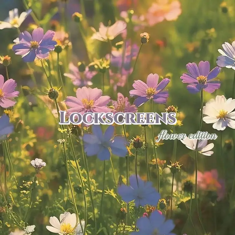 Lockscreens - Flower Edition | Gallery posted by 🌊☀️🍊🫧 | Lemon8