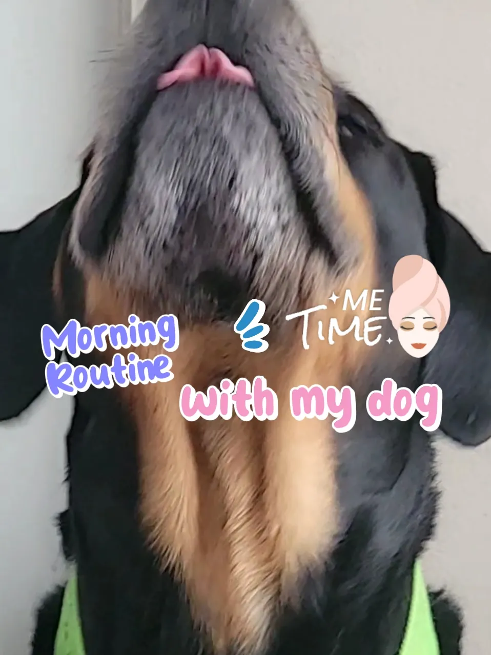 Morning routine with my dog | Video published by Evergarden °•* | Lemon8