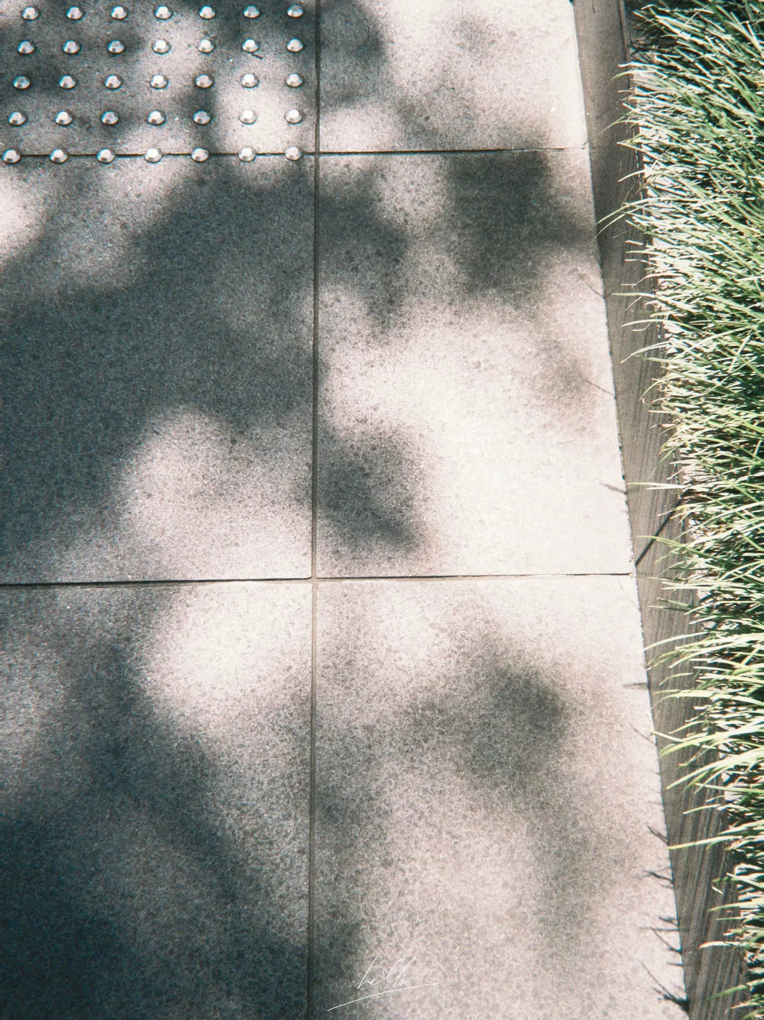 普段の日常を残す💐【iPhoneでエモい写真】 | RYOが投稿したフォトブック | Lemon8