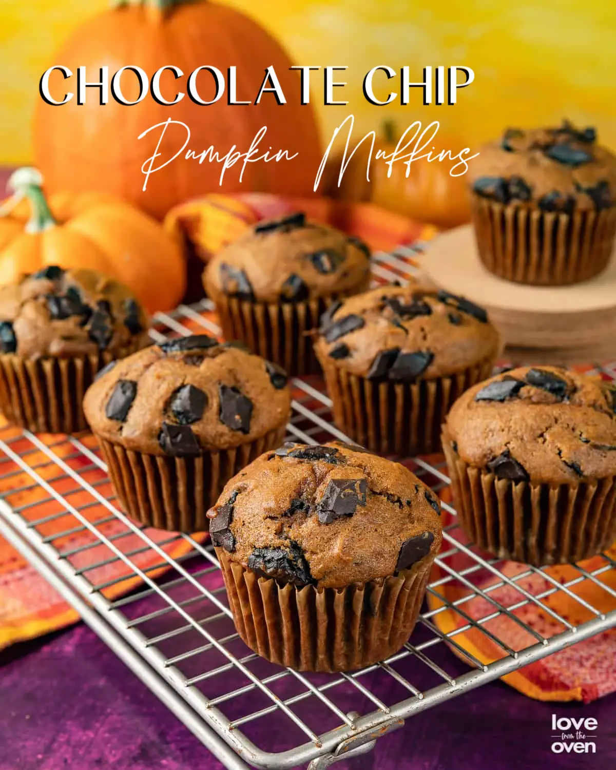 Pumpkin Chocolate Chip Muffins 🍁 | Gallery posted by LoveFromTheOven | Lemon8