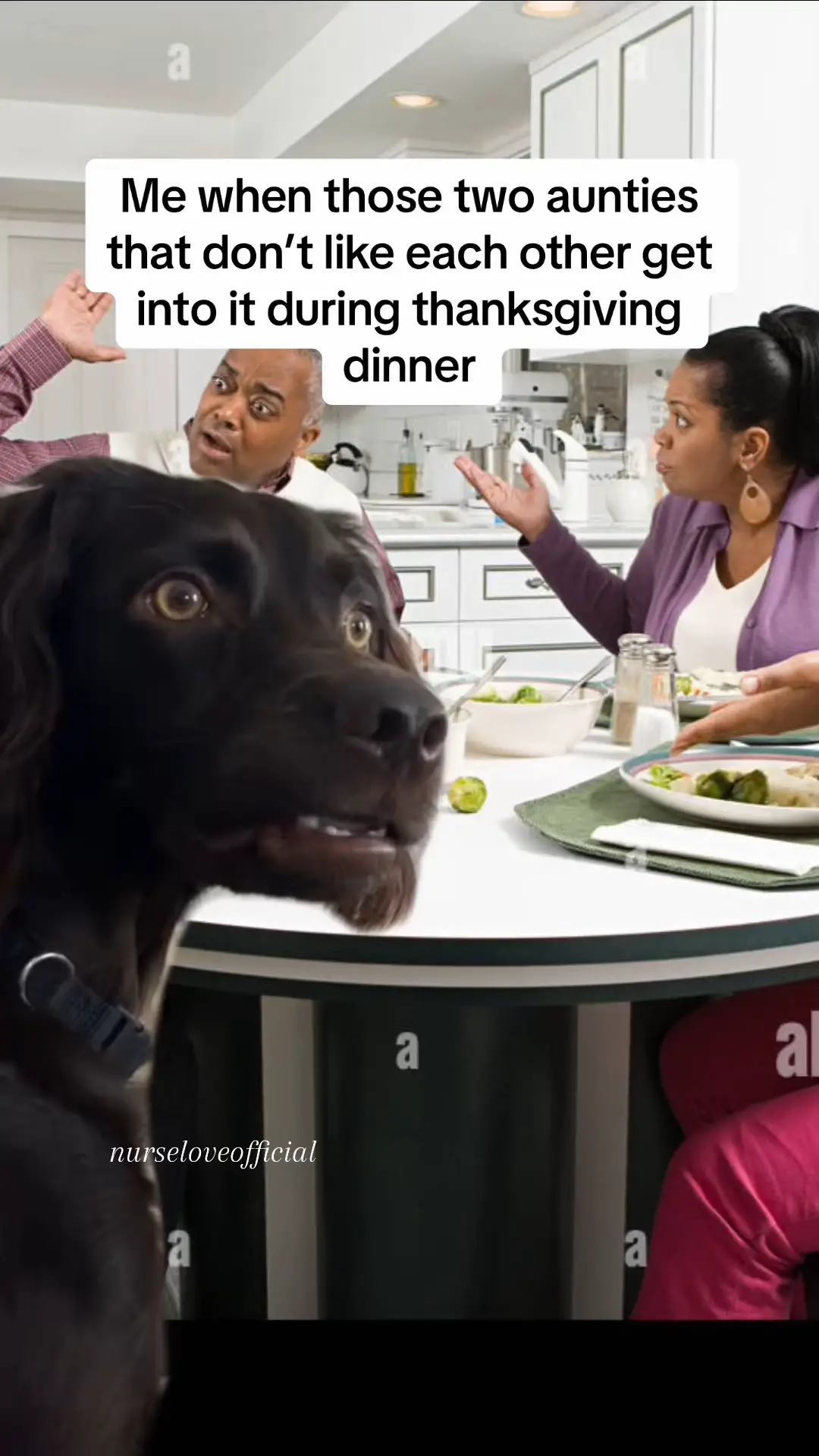 What’s Thanksgiving without th | Video published by nurselove | Lemon8