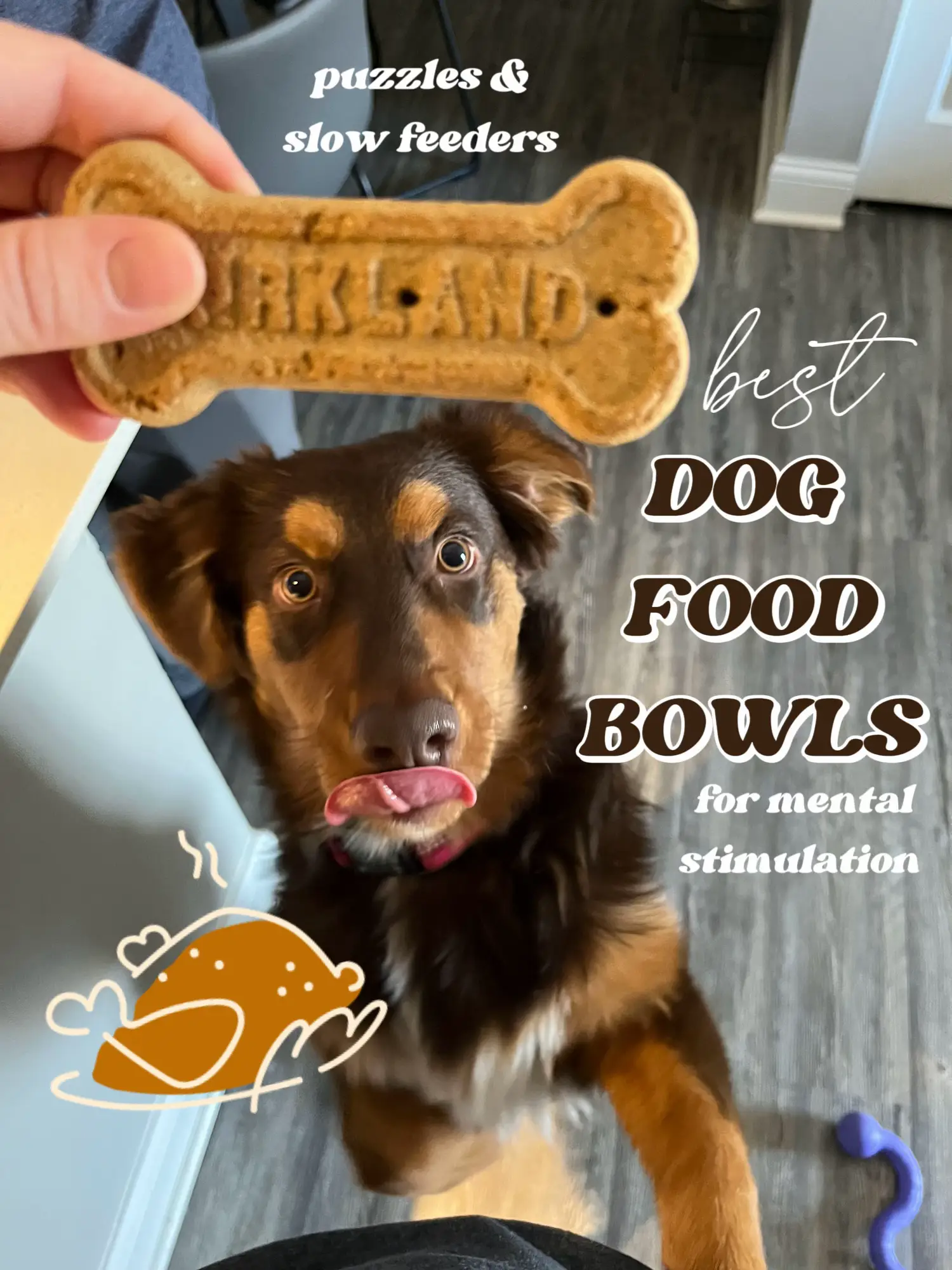 Dog Slow Feeder Bowls You NEED 🐾🦴 | Gallery posted by andriana lis | Lemon8