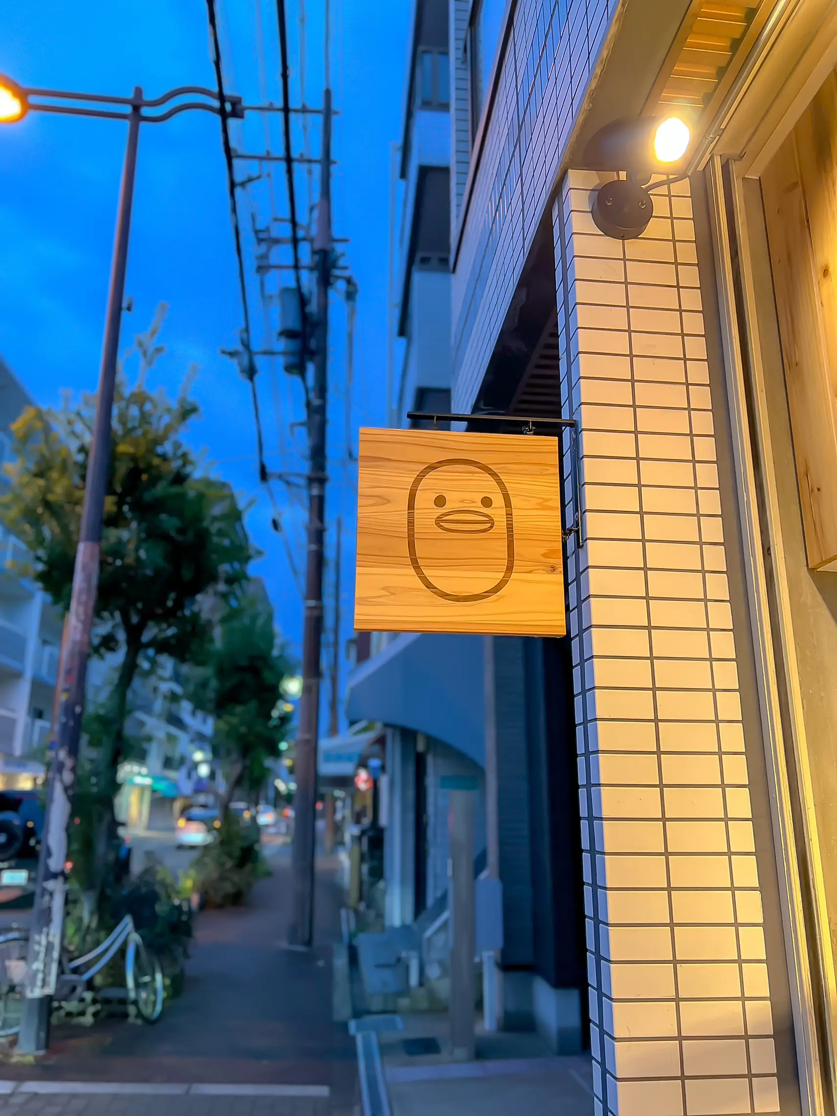 カステラのあかちゃん産まれました💕 | kiyodonが投稿したフォトブック | Lemon8