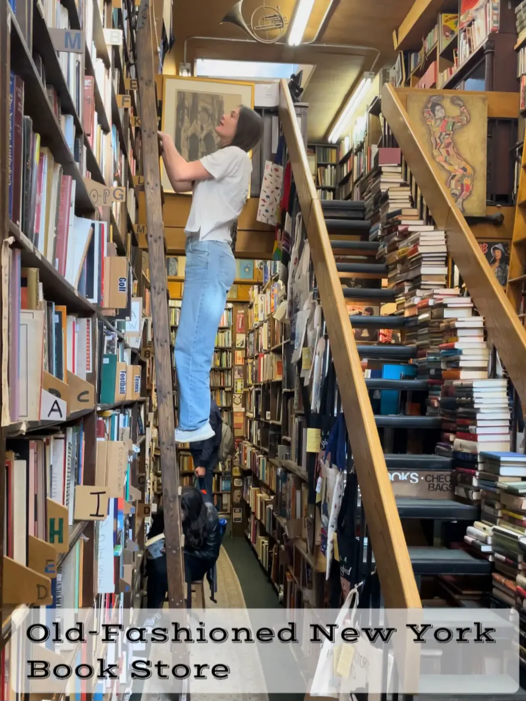 20 top Unique Bookstore with Amazing Decor ideas in 2024