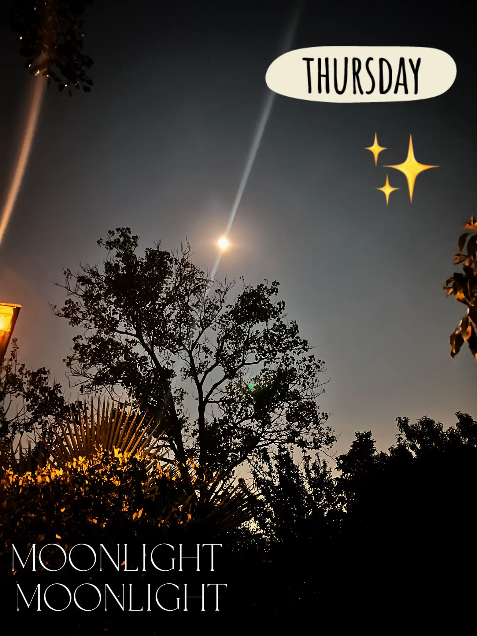 moonlight moonlight | แกลเลอรีที่โพสต์โดย G i g i 💎👑💋 | Lemon8