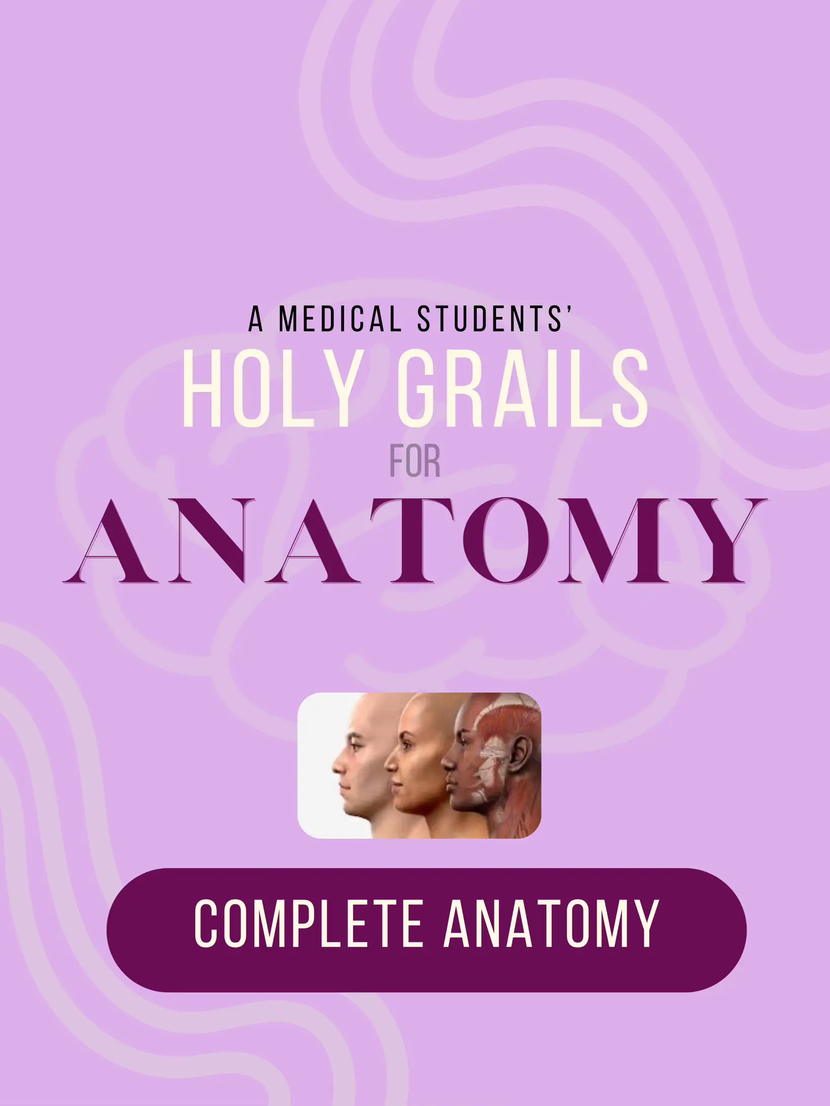 Steal my Anatomy Holy Grails: Complete Anatomy! | แกลเลอรีที่โพสต์โดย ...