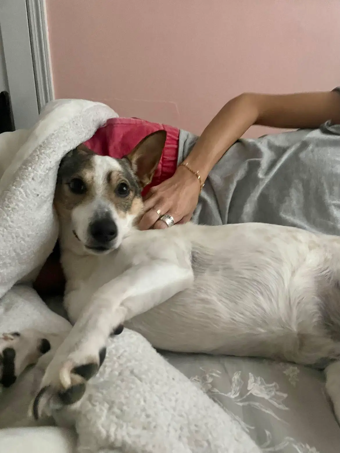 PHOTO DUMP | Gallery posted by chloe | Lemon8