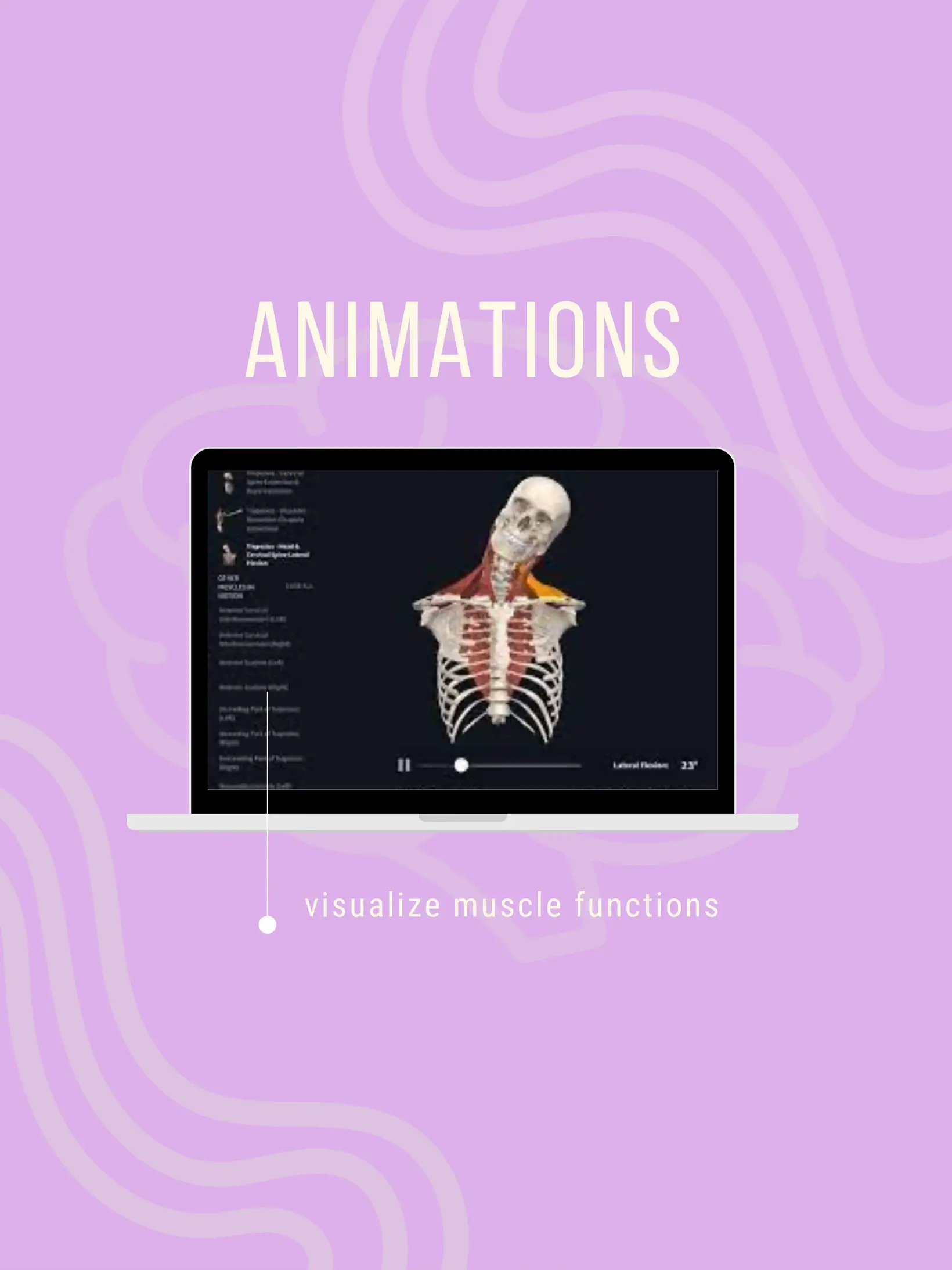 Steal my Anatomy Holy Grails: Complete Anatomy! | แกลเลอรีที่โพสต์โดย ...