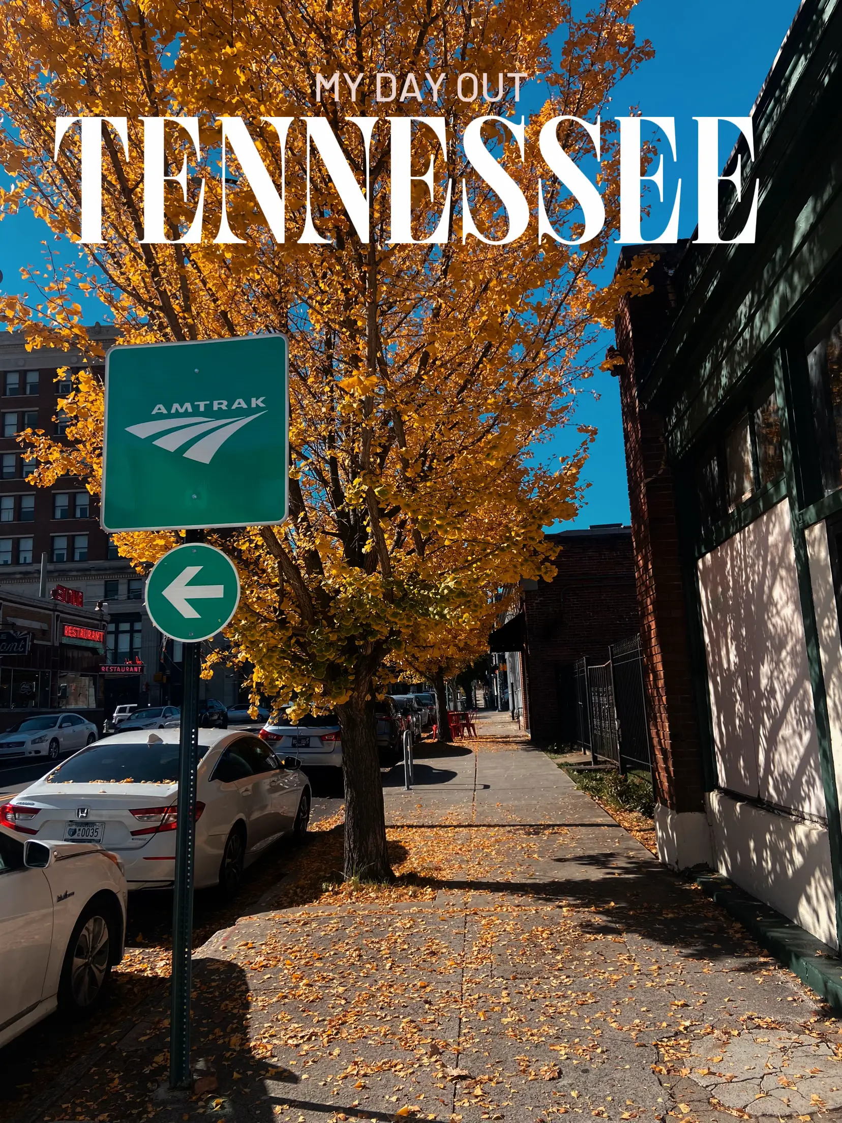 TENNESSEE | Gallery posted by princessk | Lemon8