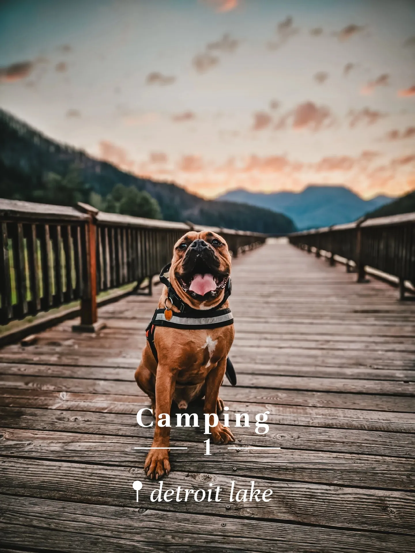 Camping | Gallery posted by Tabitha & Seely | Lemon8