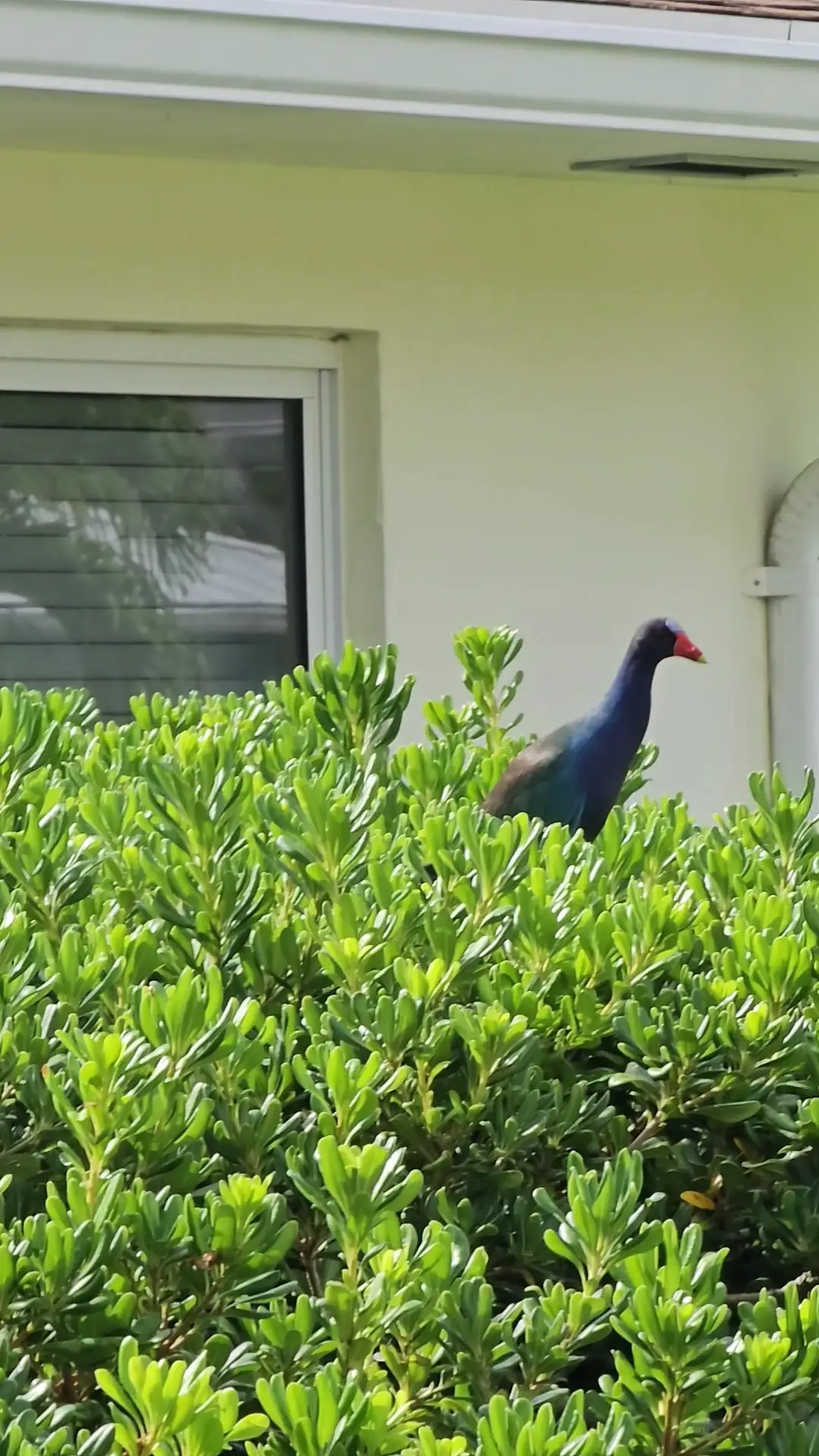 VRBO friend! | วิดีโอที่เผยแพร่โดย Serendipity | Lemon8