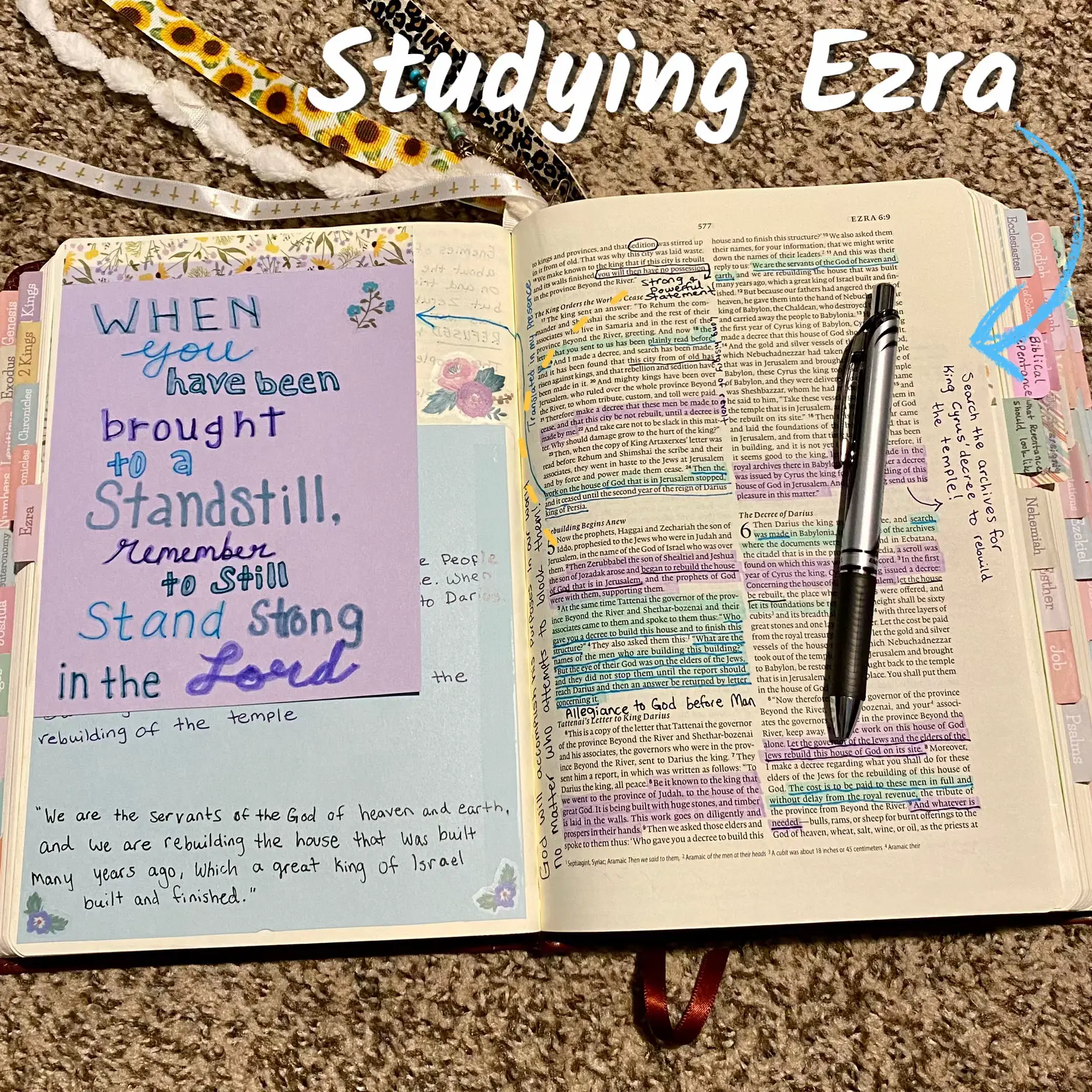 Studying Ezra | แกลเลอรีที่โพสต์โดย Ashley Spittler | Lemon8