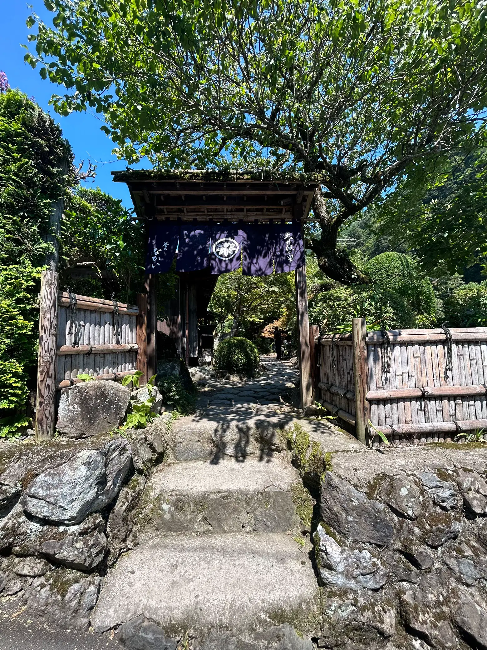 【東京 奥多摩】絶対ここ行って!!自然を感じながら和食を堪能できる ひまわりが投稿したフォトブック Lemon8