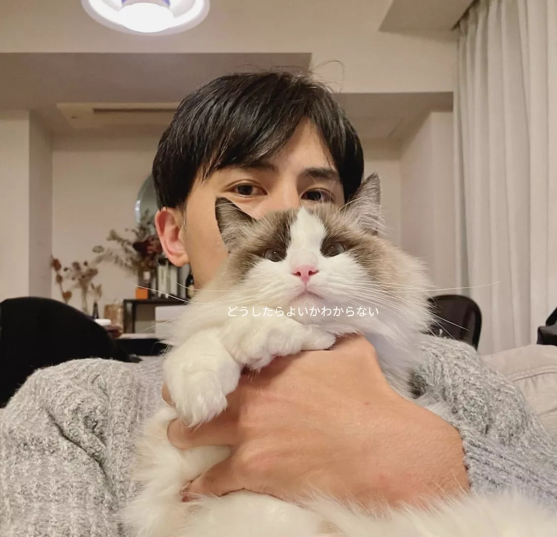 どうしたらよいかわからない | แกลเลอรีที่โพสต์โดย Mike | Lemon8